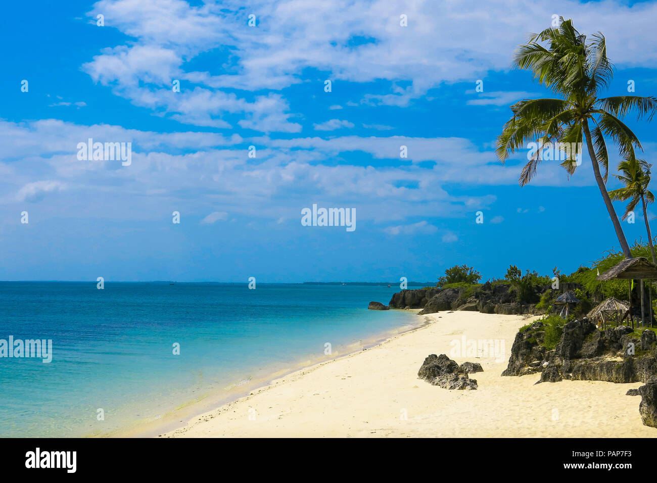 Palme philippinen -Fotos und -Bildmaterial in hoher Auflösung – Alamy