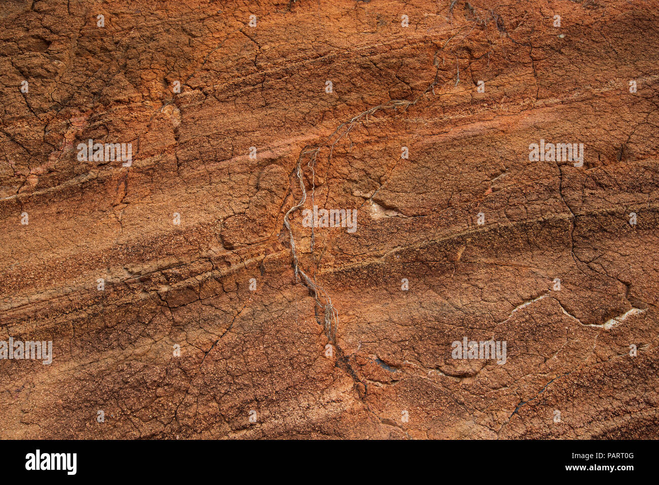 Soil texture -Fotos und -Bildmaterial in hoher Auflösung – Alamy