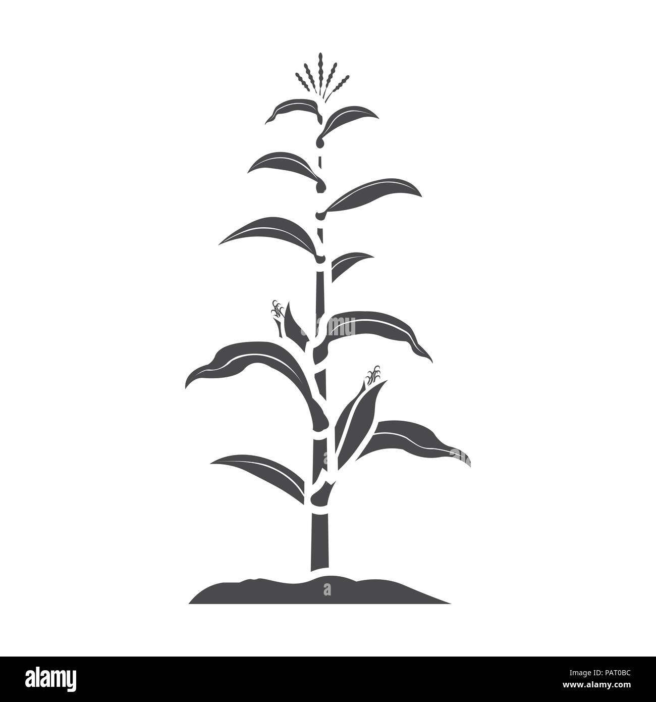 Mais Symbol in schwarz auf weißem Hintergrund. Anlage symbol Vektor ...