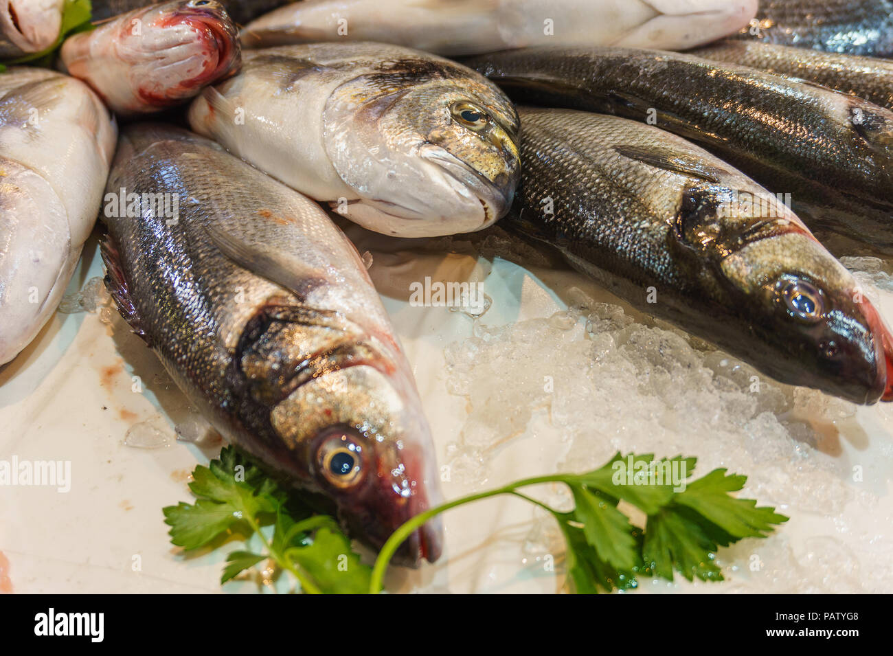 Gastronomischer tourismus -Fotos und -Bildmaterial in hoher Auflösung ...