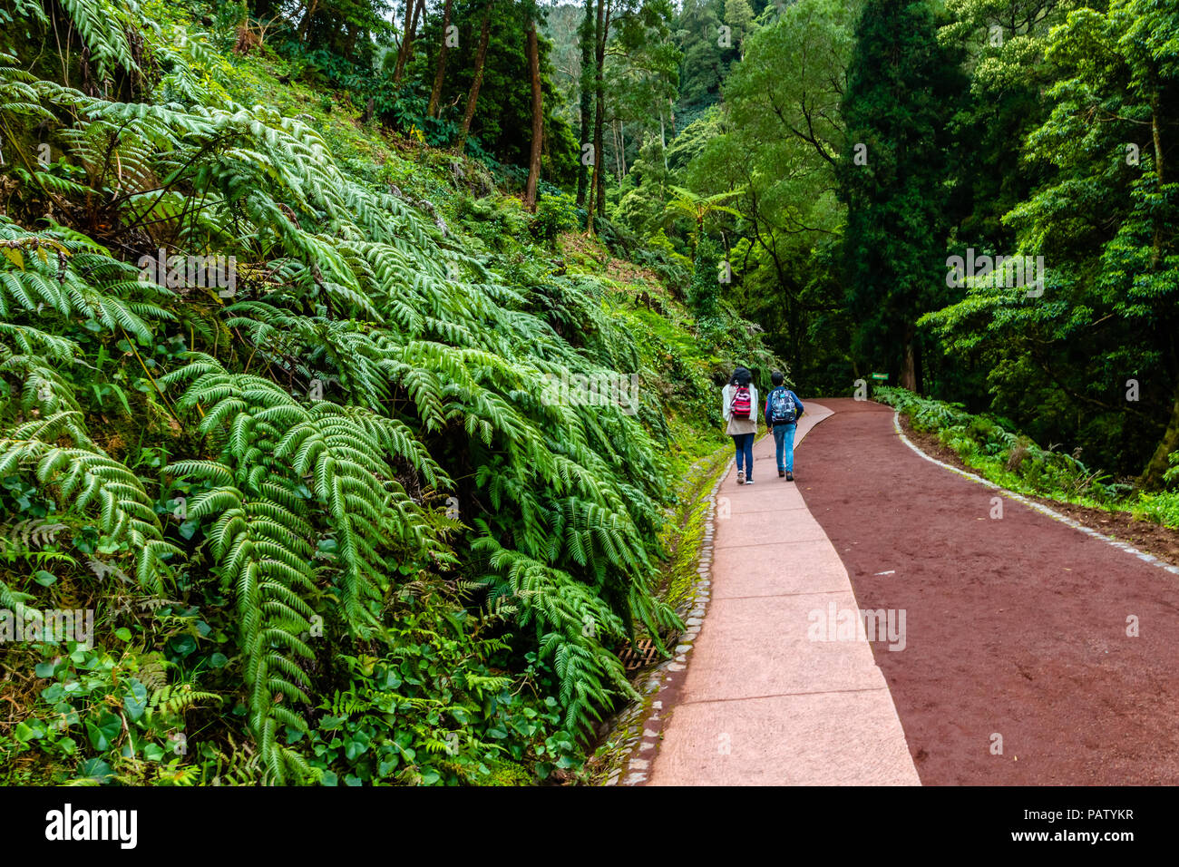 Caldeira velha park -Fotos und -Bildmaterial in hoher Auflösung – Alamy