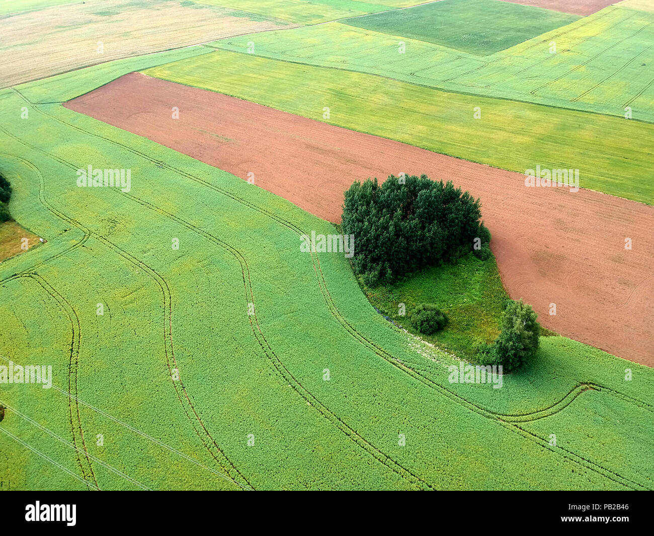 Rapeseed Fields Aerial Stockfotos und -bilder Kaufen - Alamy