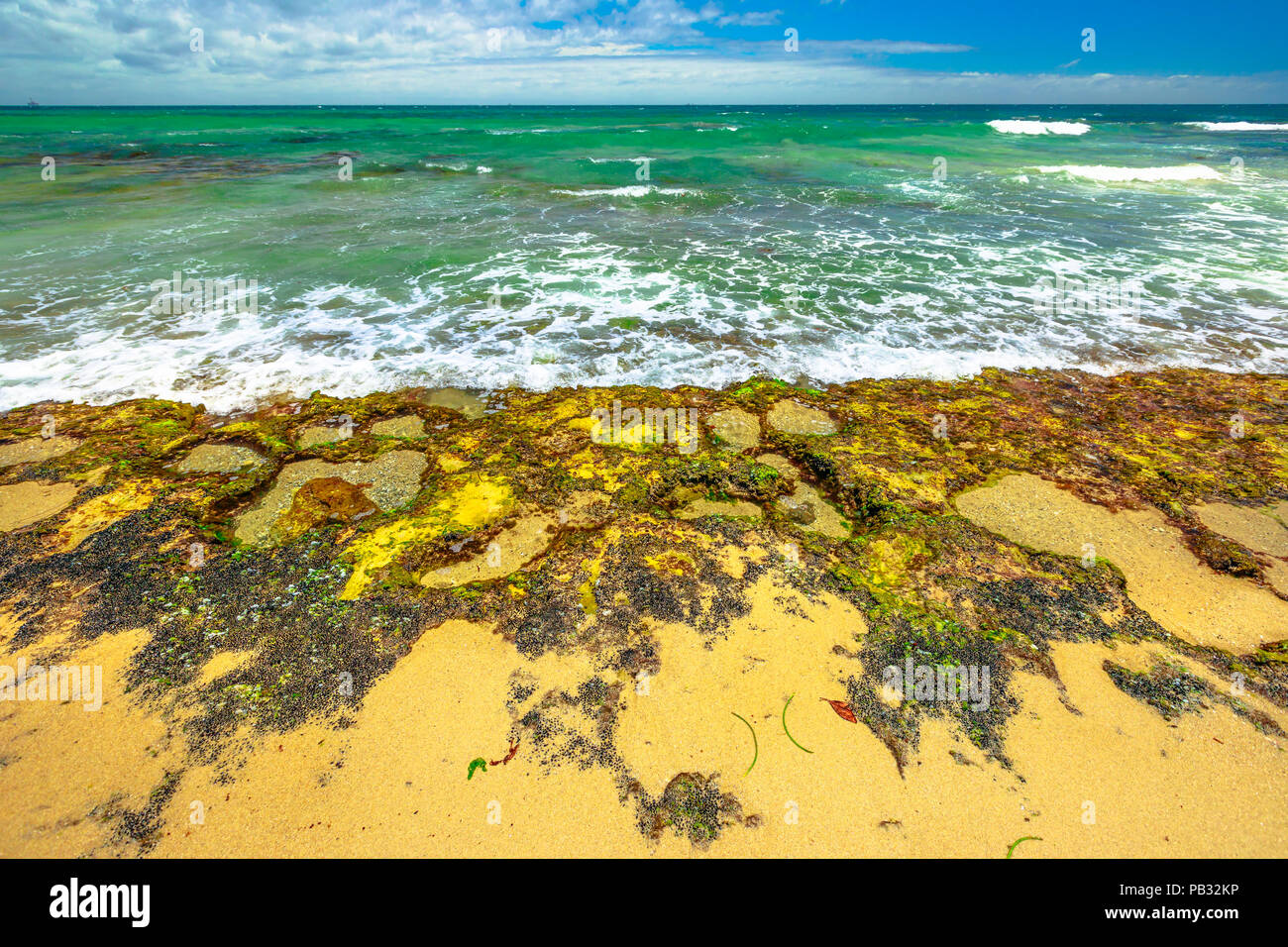 Scarborough riff -Fotos und -Bildmaterial in hoher Auflösung – Alamy