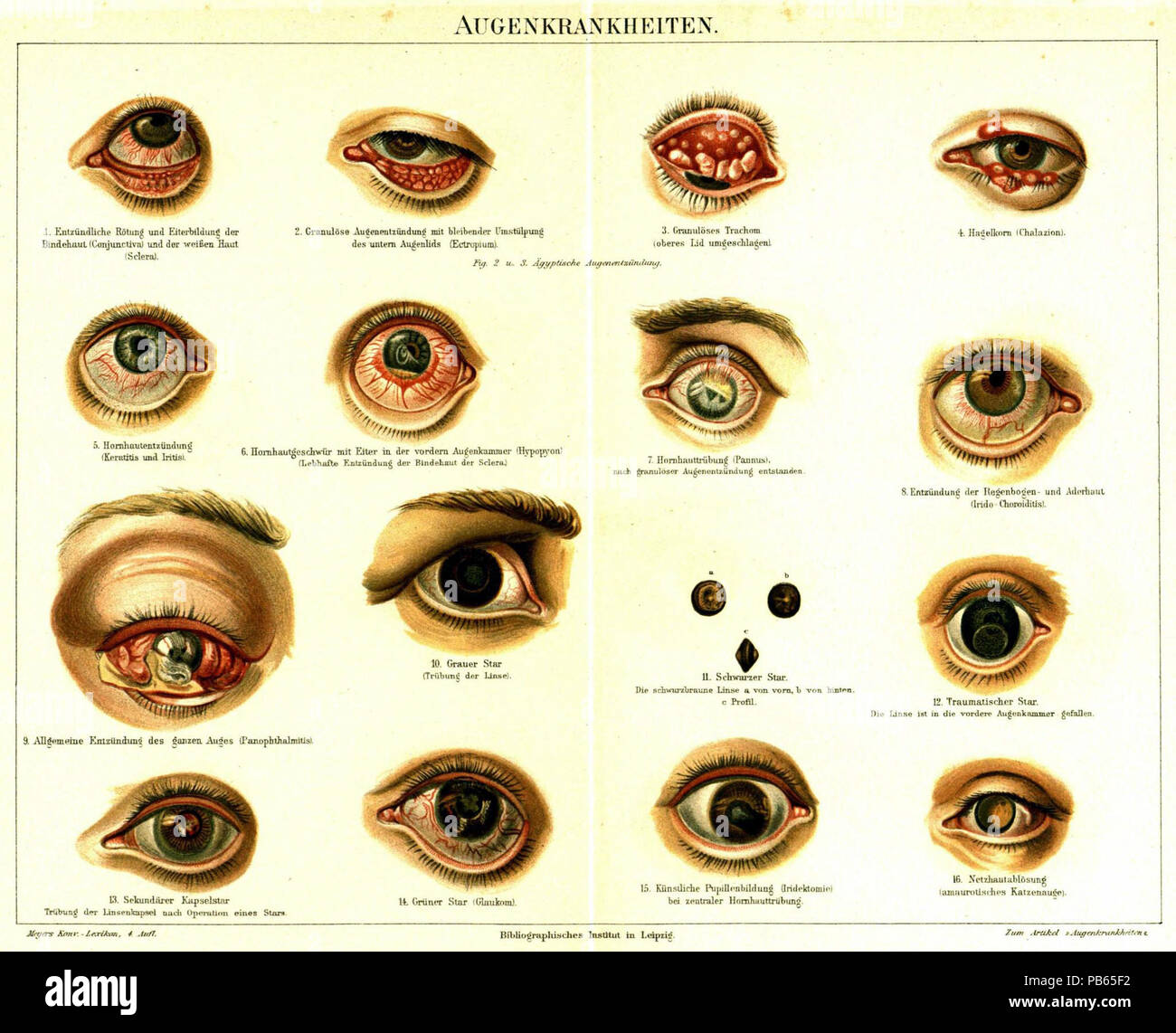 . Englisch: Meyers Konversationslexikon - Vol.2 - Platte zu Seite 78 ...