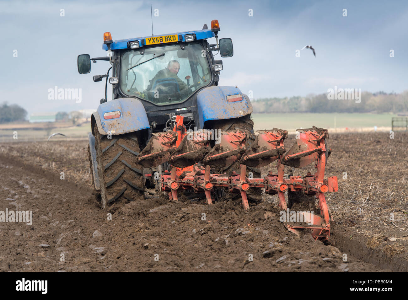 Das pflügen ein Feld mit einem New Holland T7030 und 5 Furche ...