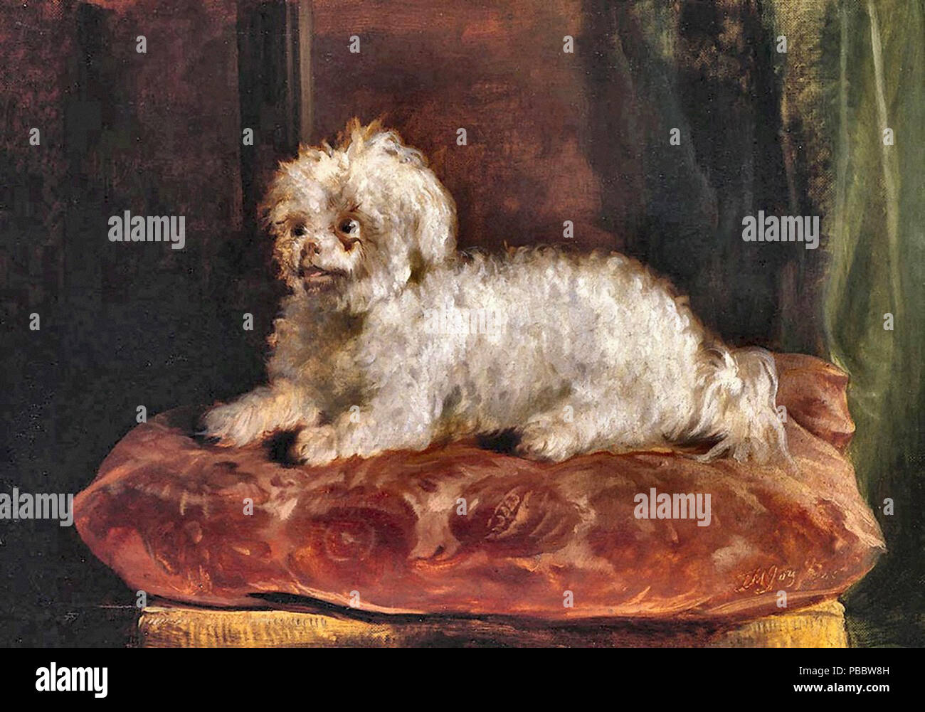 Thomas musgrave -Fotos und -Bildmaterial in hoher Auflösung – Alamy