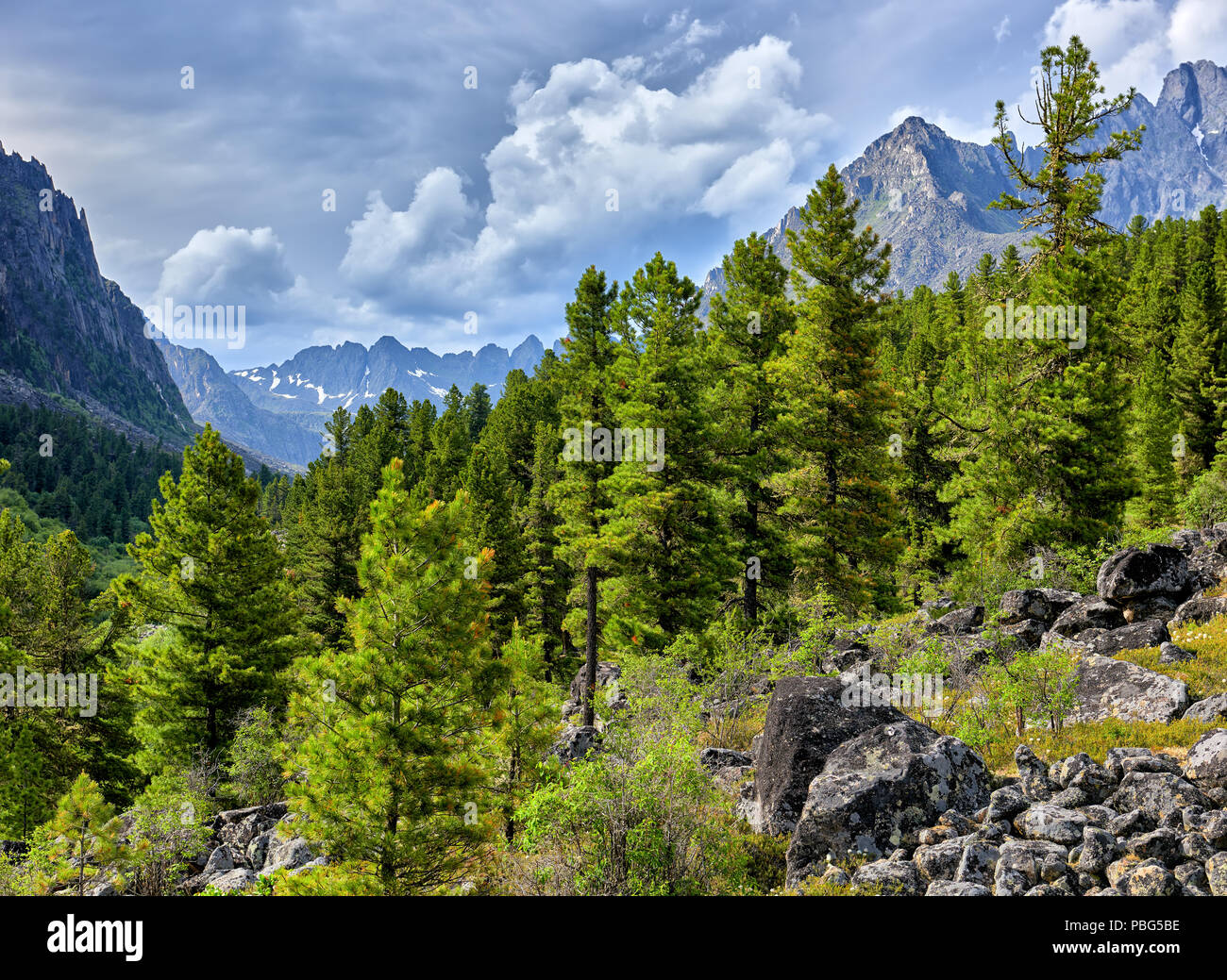 Sibirische Taiga Berg an bewölkten Sommertag. Tunkinsky National Park ...