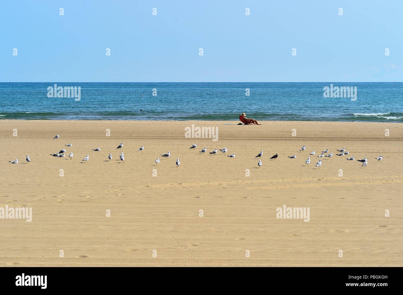 Kathy osterman strand -Fotos und -Bildmaterial in hoher Auflösung – Alamy