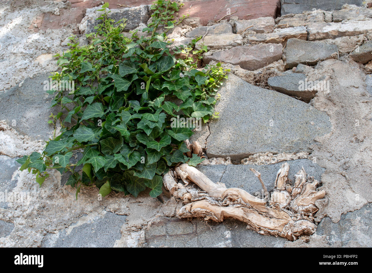 Reparierter riss -Fotos und -Bildmaterial in hoher Auflösung – Alamy