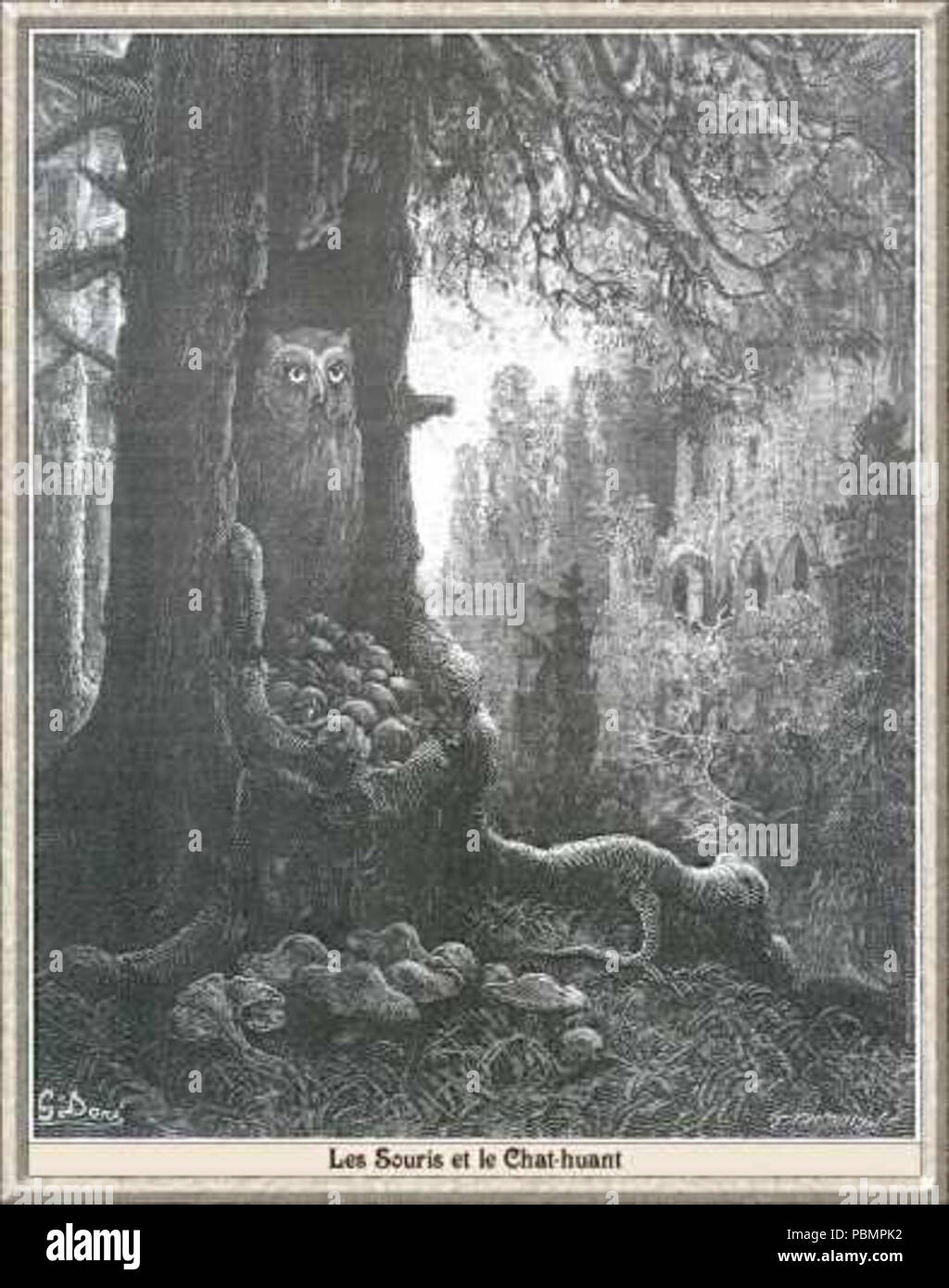 Huant -Fotos und -Bildmaterial in hoher Auflösung – Alamy