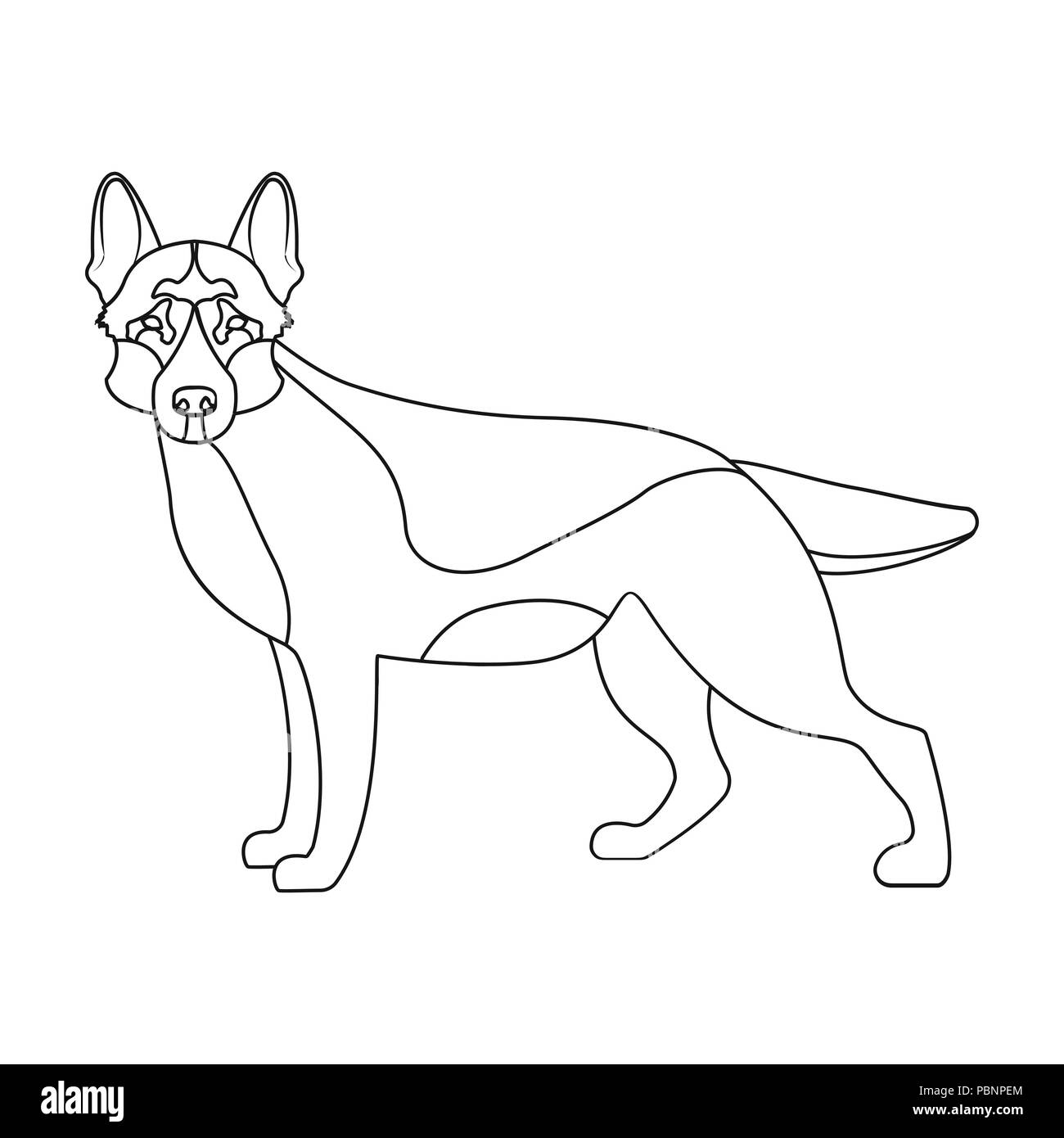 Tier, Rasse, Pflege, Färbung, Hund, Inland, Deutsch, hound, Icon ...