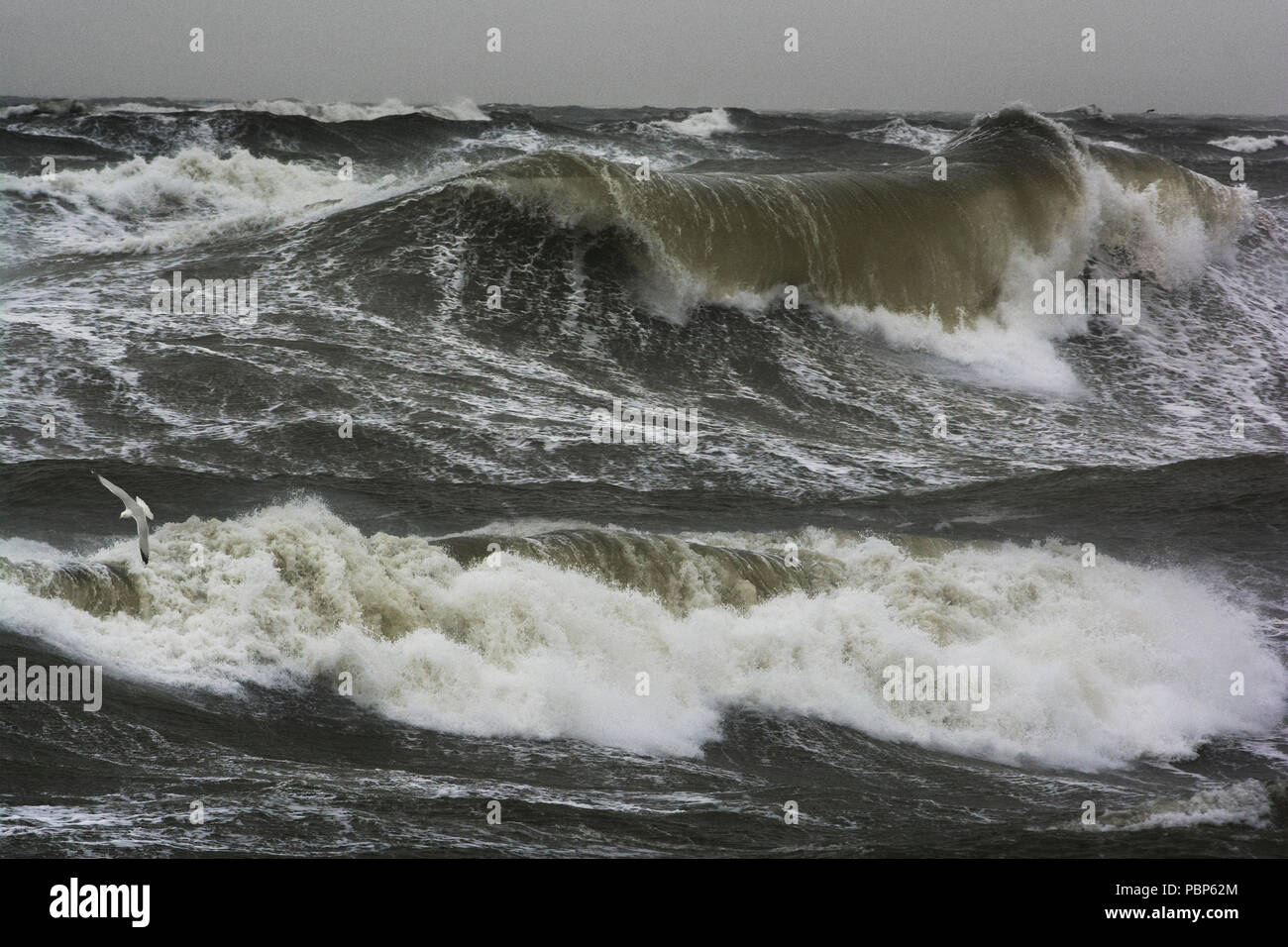 Hohe wellen -Fotos und -Bildmaterial in hoher Auflösung – Alamy