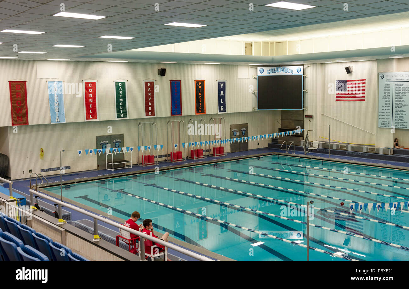 Percy uris natatorium -Fotos und -Bildmaterial in hoher Auflösung – Alamy