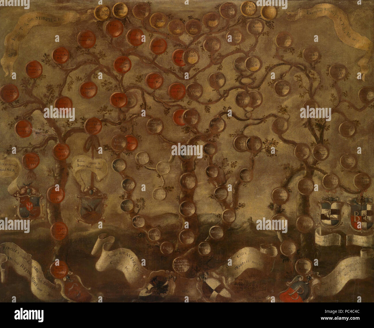 Der stammbaum -Fotos und -Bildmaterial in hoher Auflösung – Alamy