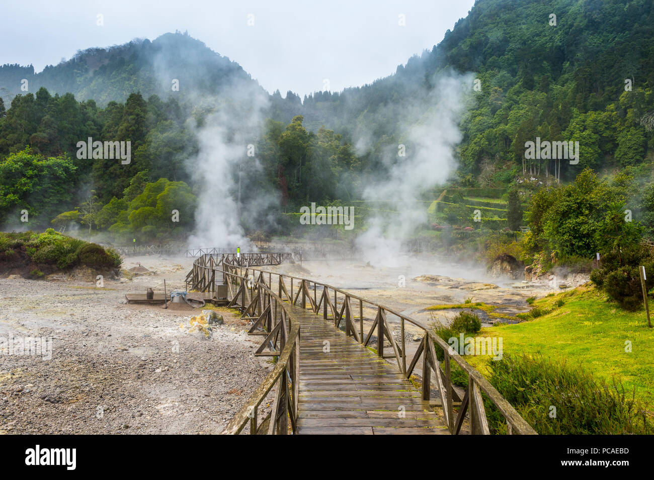 Fumarolen von Furnas Lake, Insel Sao Miguel, Azoren, Portugal, Atlantik ...
