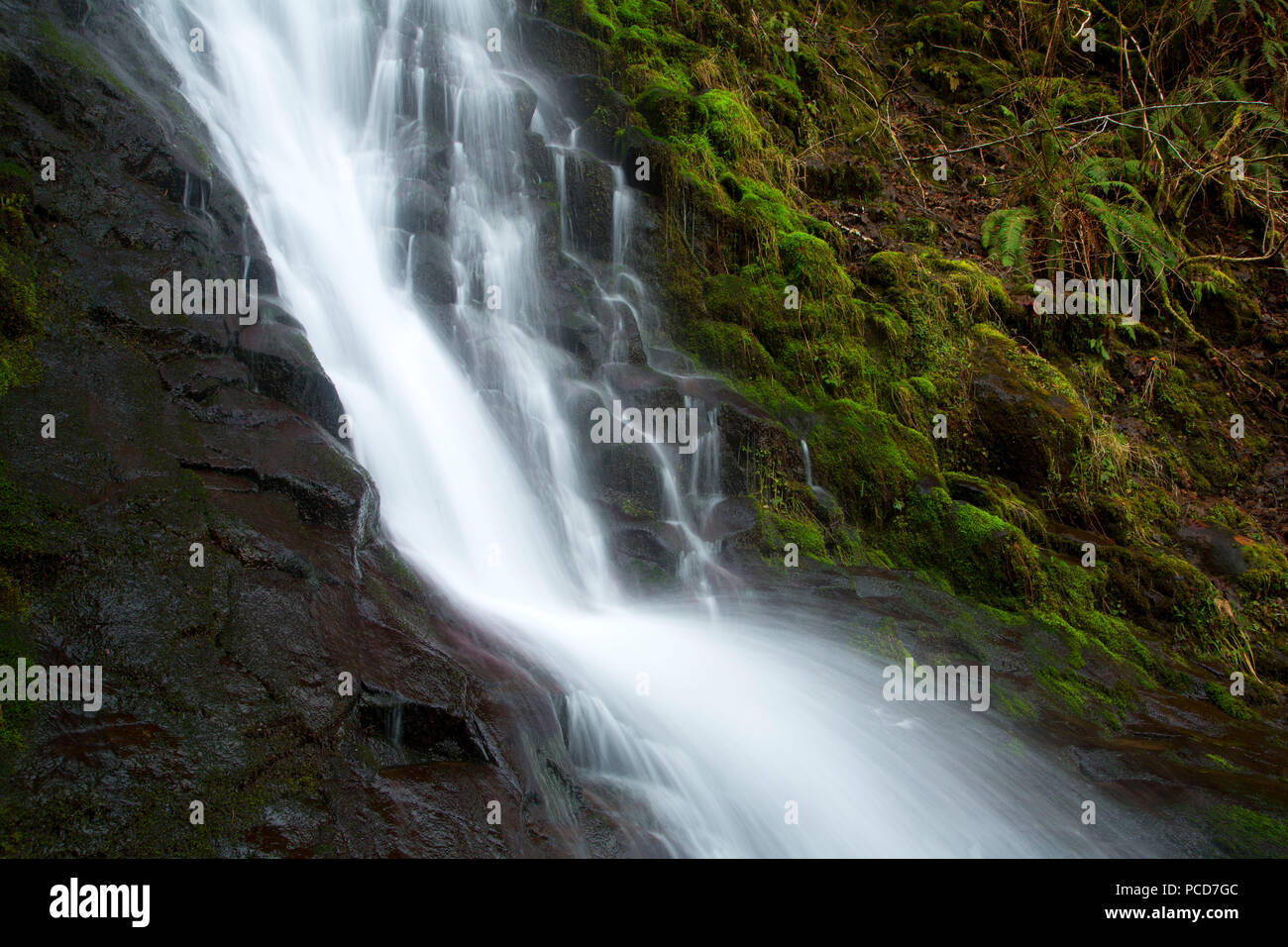Bridge creek falls -Fotos und -Bildmaterial in hoher Auflösung – Alamy