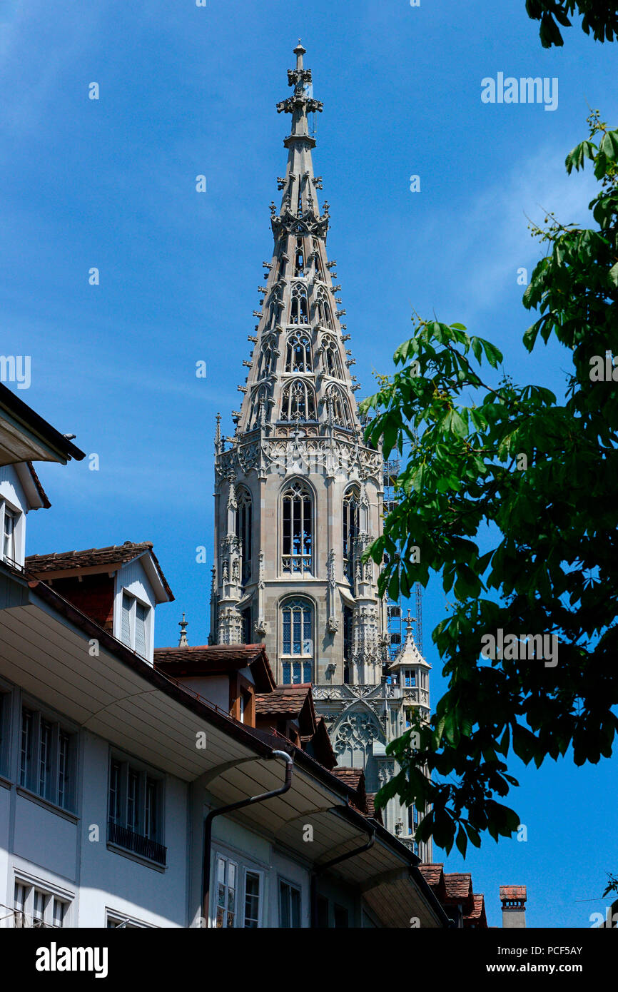 Berner Münster, Bern, Kanton Bern, Schweiz, Europa, Berner Münster ...