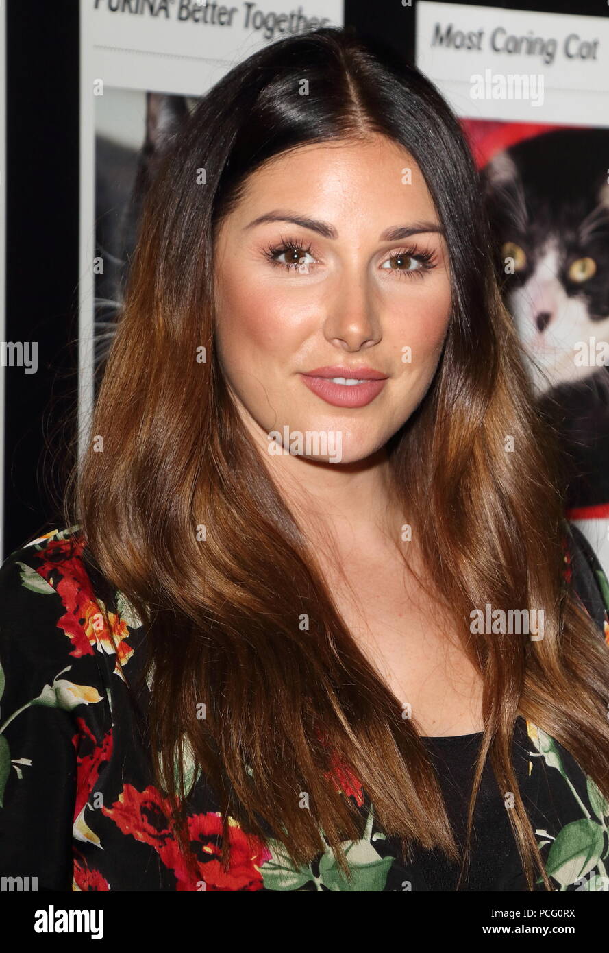 Lucy cat -Fotos und -Bildmaterial in hoher Auflösung – Alamy