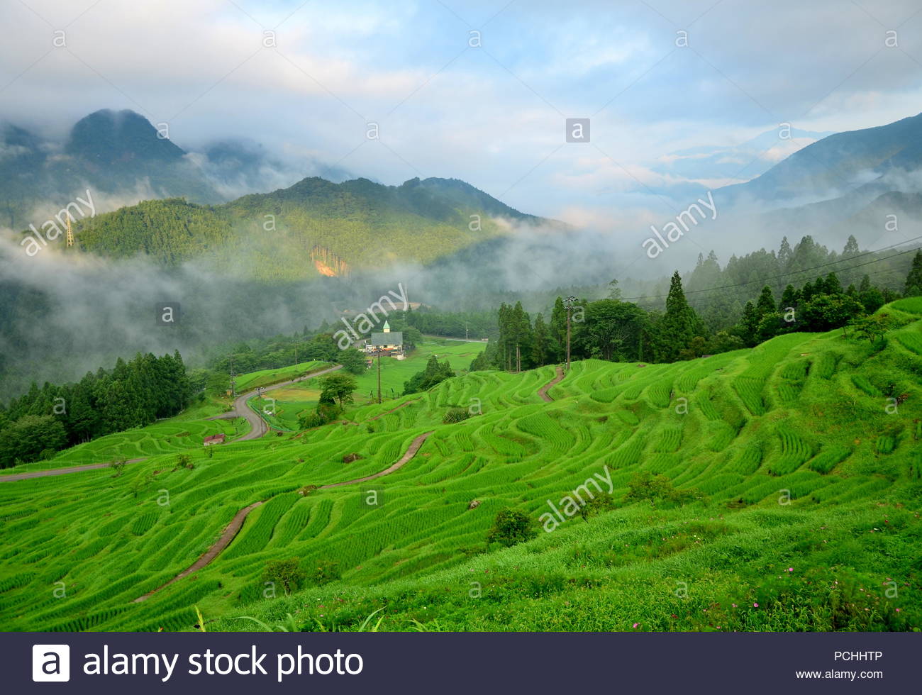 Japanese Rice Farm Stockfotos & Japanese Rice Farm Bilder - Alamy