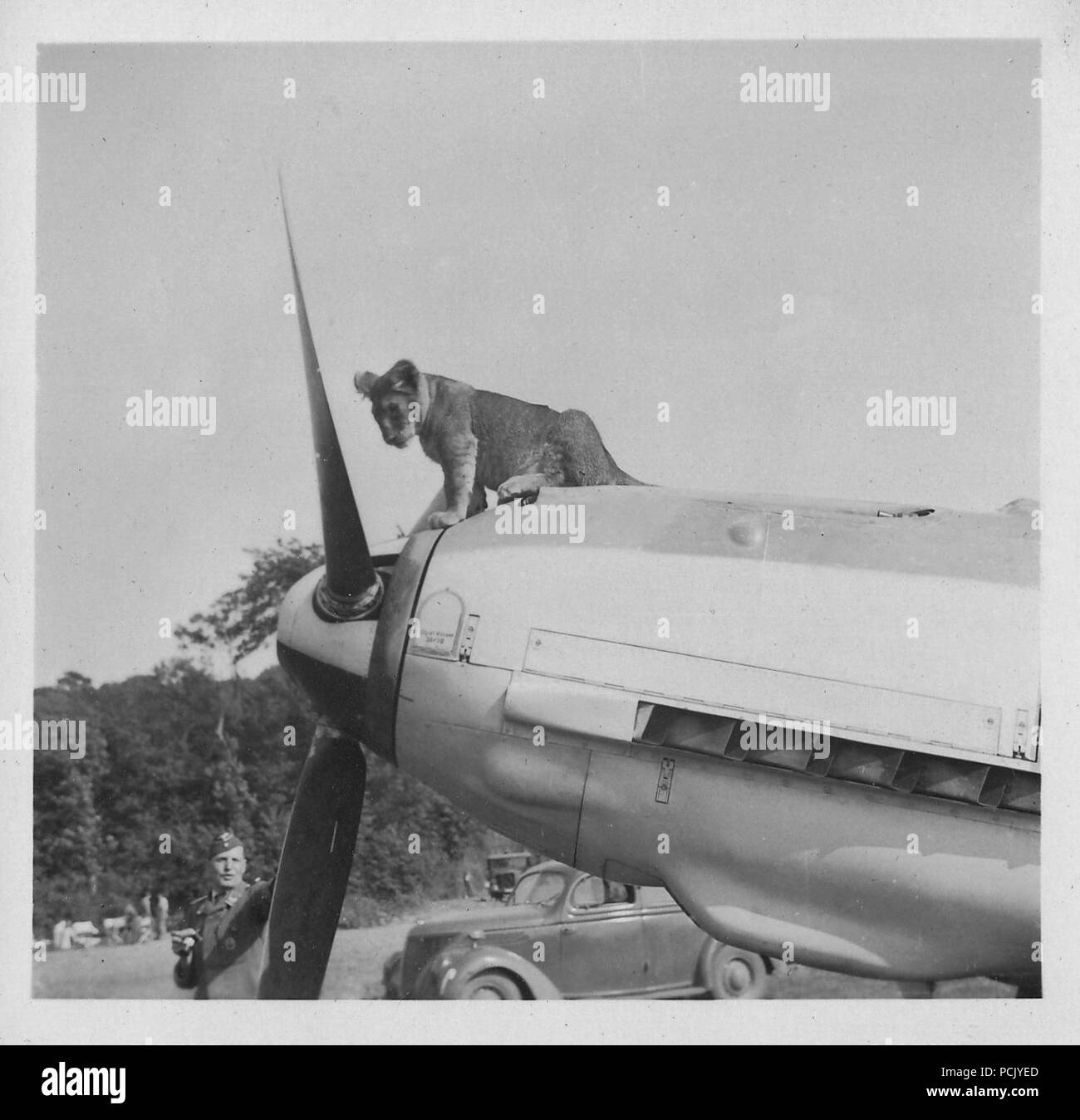 Bf 109 messerschmitt bf109 -Fotos und -Bildmaterial in hoher Auflösung ...