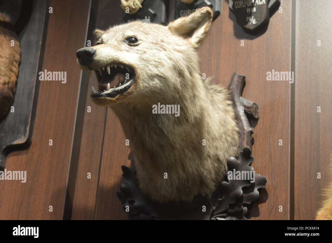 Der "August-von-spiess' Museum der Jagd Stockfotografie - Alamy