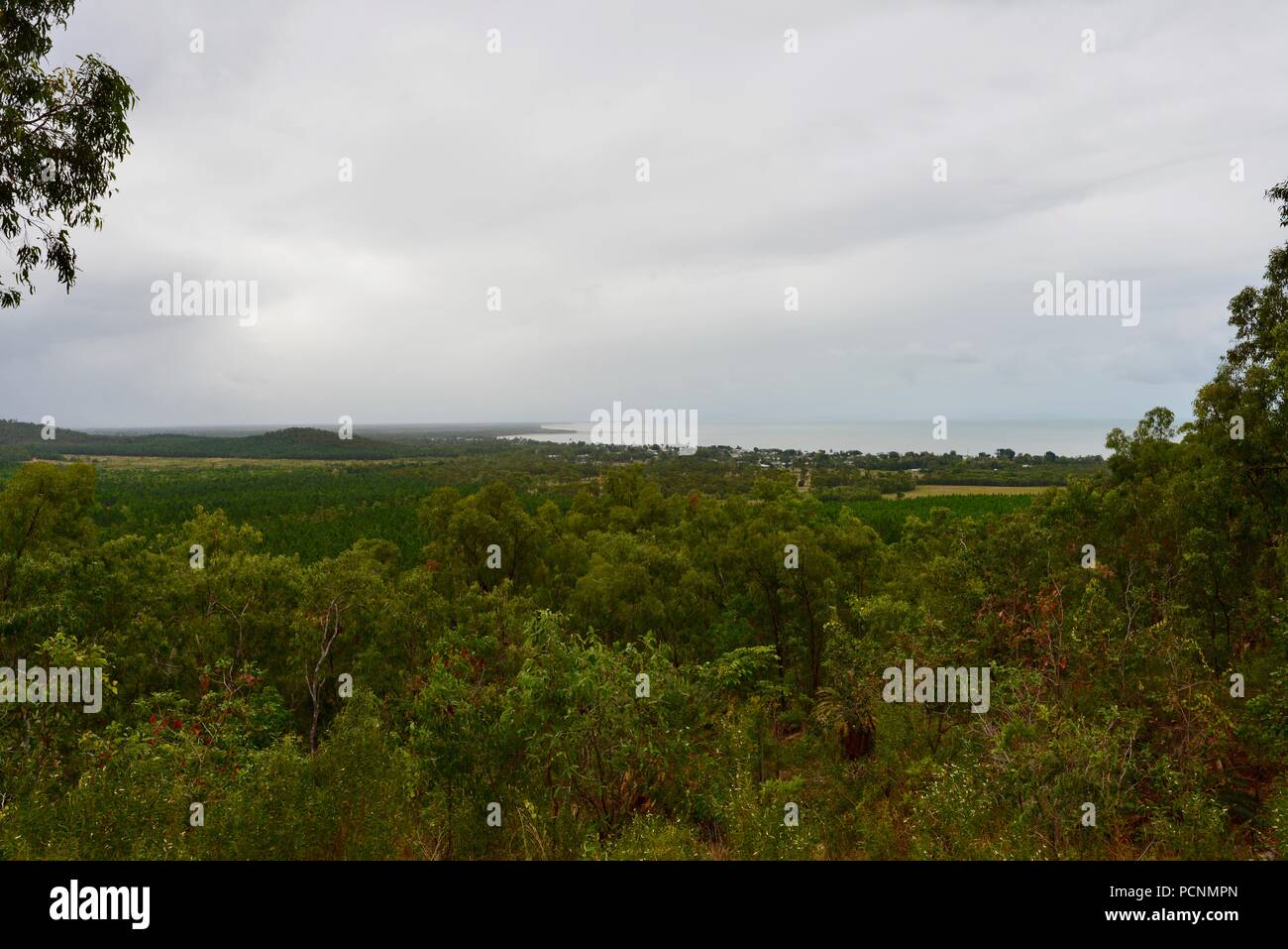 Cardwell state forest -Fotos und -Bildmaterial in hoher Auflösung – Alamy