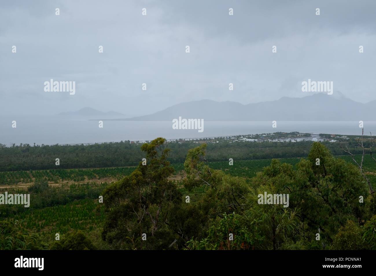 Cardwell state forest -Fotos und -Bildmaterial in hoher Auflösung – Alamy