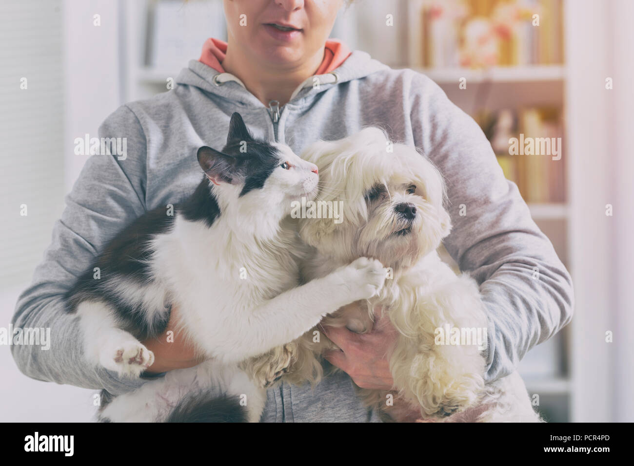 Hund katze kuscheln kuscheln -Fotos und -Bildmaterial in hoher ...