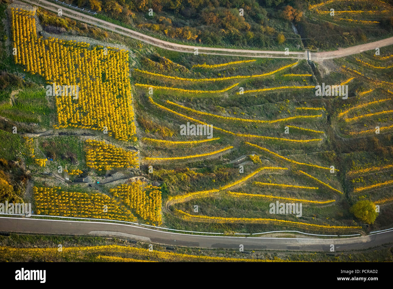 Rhein wein -Fotos und -Bildmaterial in hoher Auflösung – Alamy