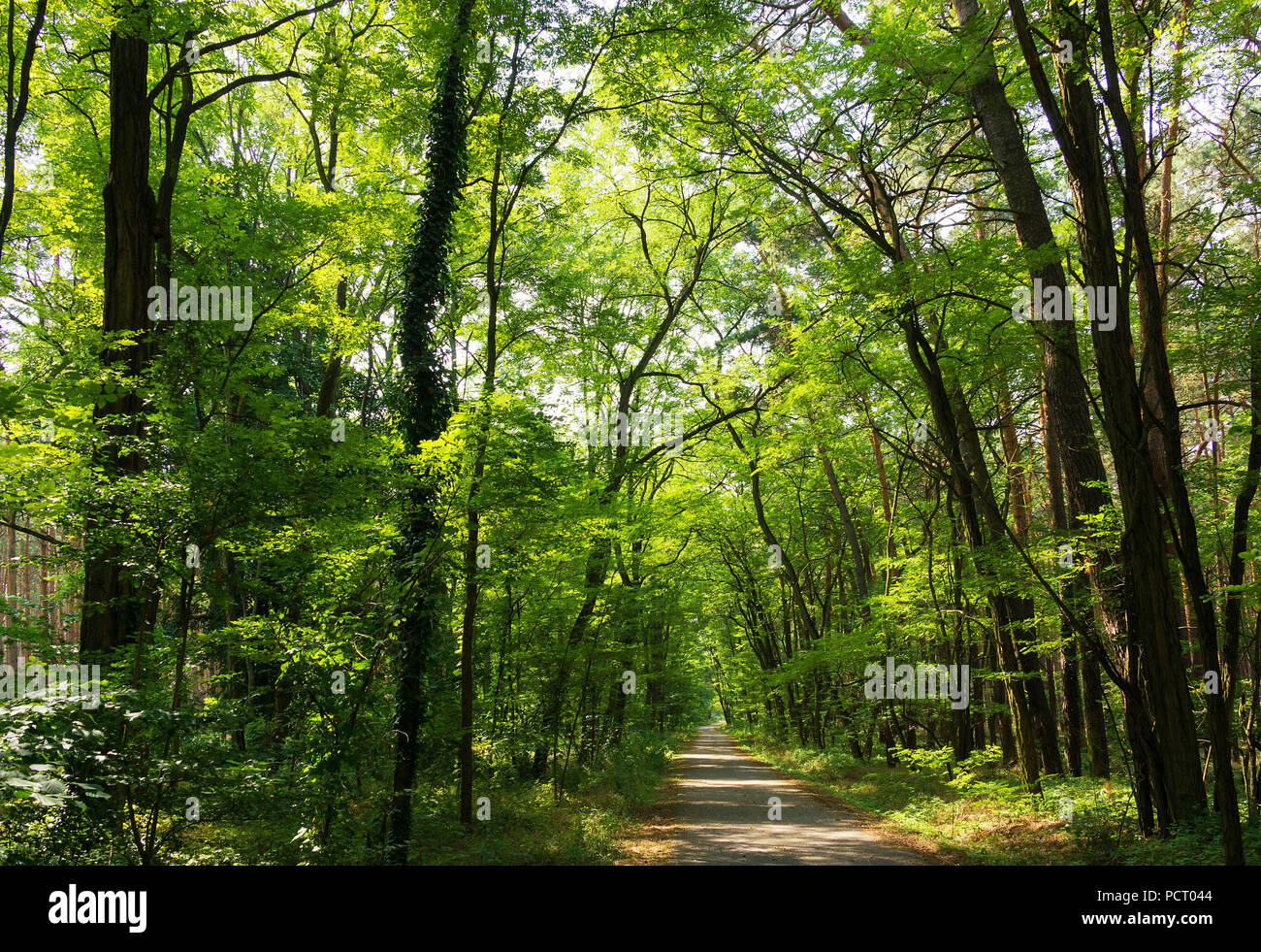R1 radweg -Fotos und -Bildmaterial in hoher Auflösung – Alamy