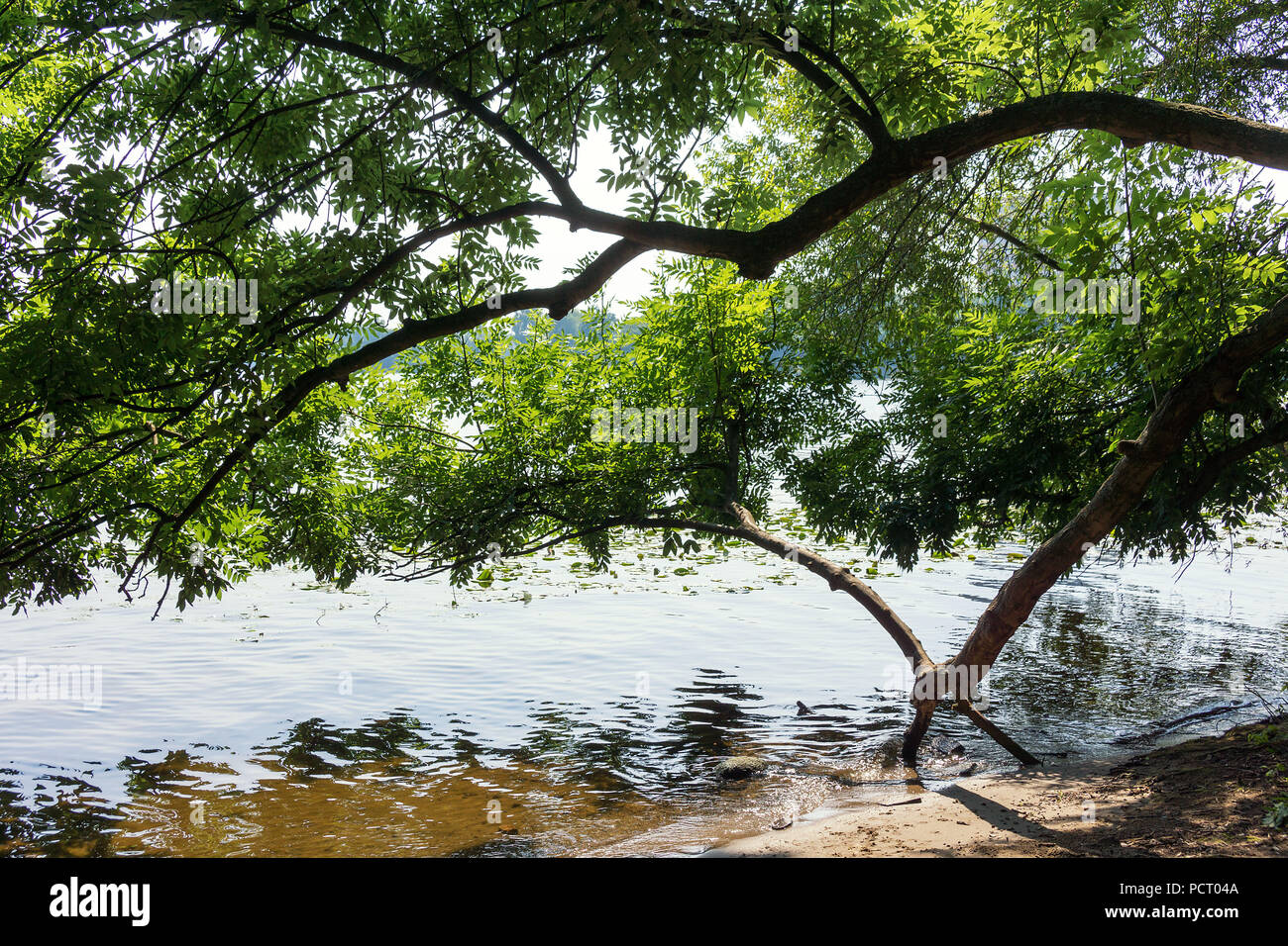 R1 radweg -Fotos und -Bildmaterial in hoher Auflösung – Alamy