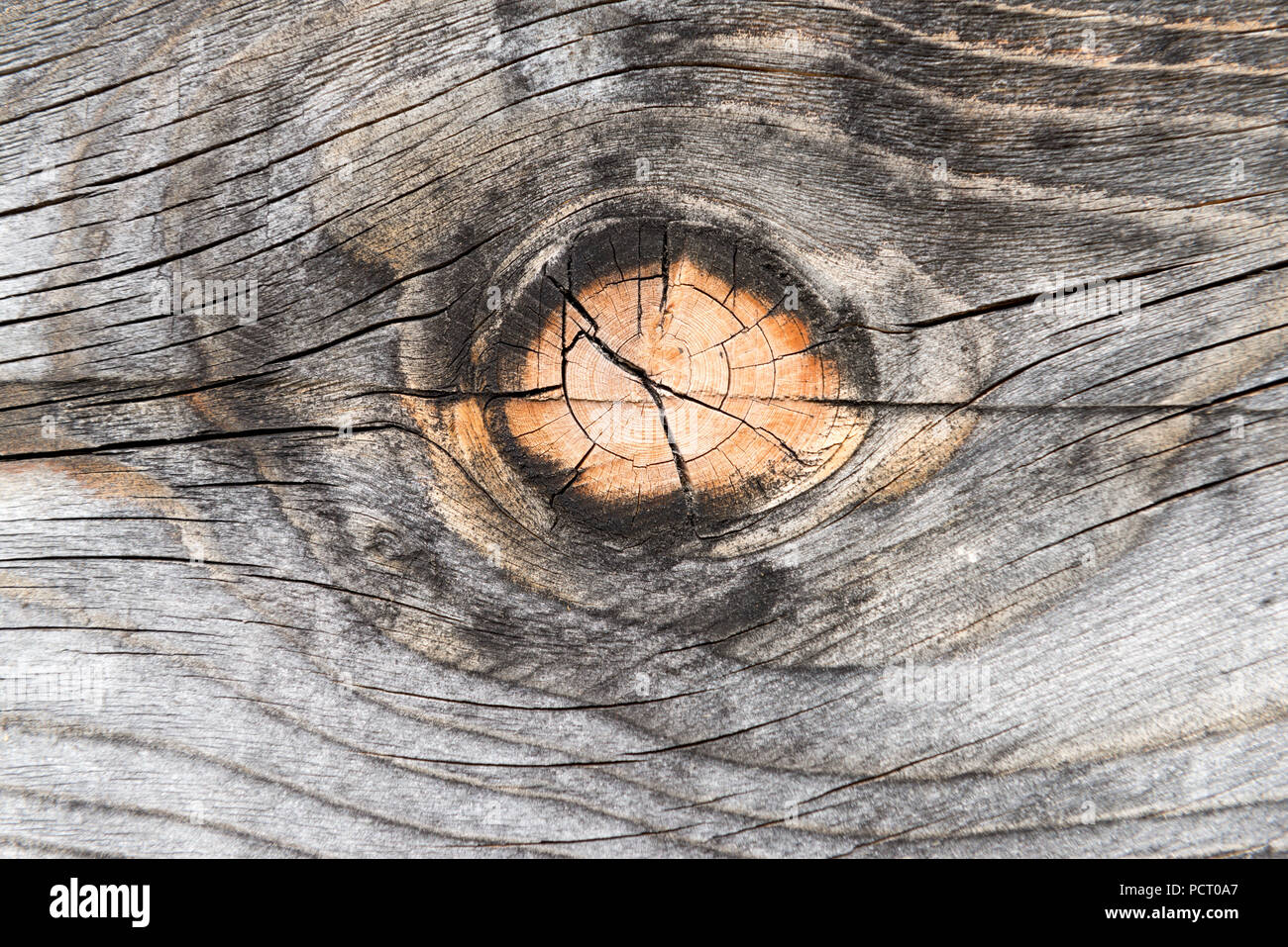 Wood board old knothole -Fotos und -Bildmaterial in hoher Auflösung – Alamy