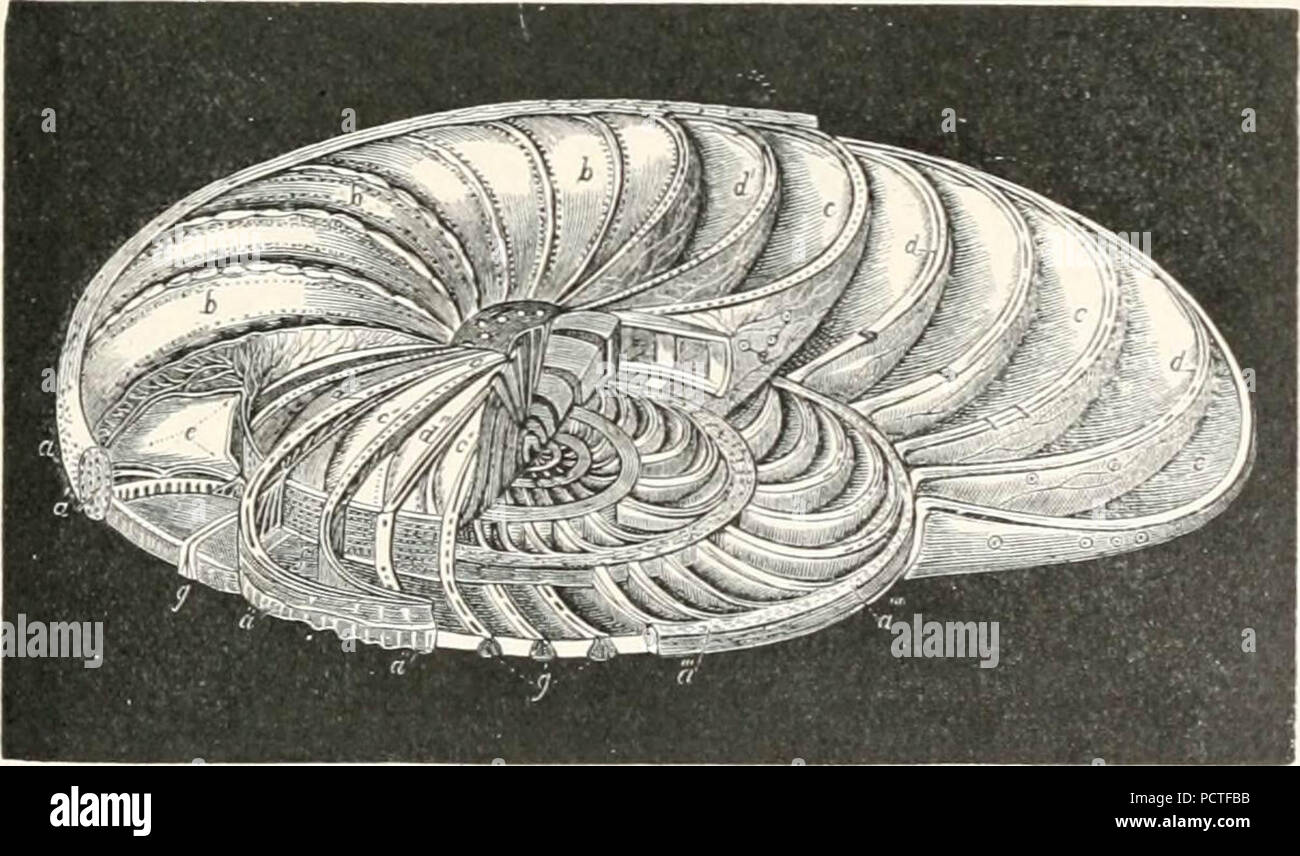 Historische offenbarungen -Fotos und -Bildmaterial in hoher Auflösung – Alamy