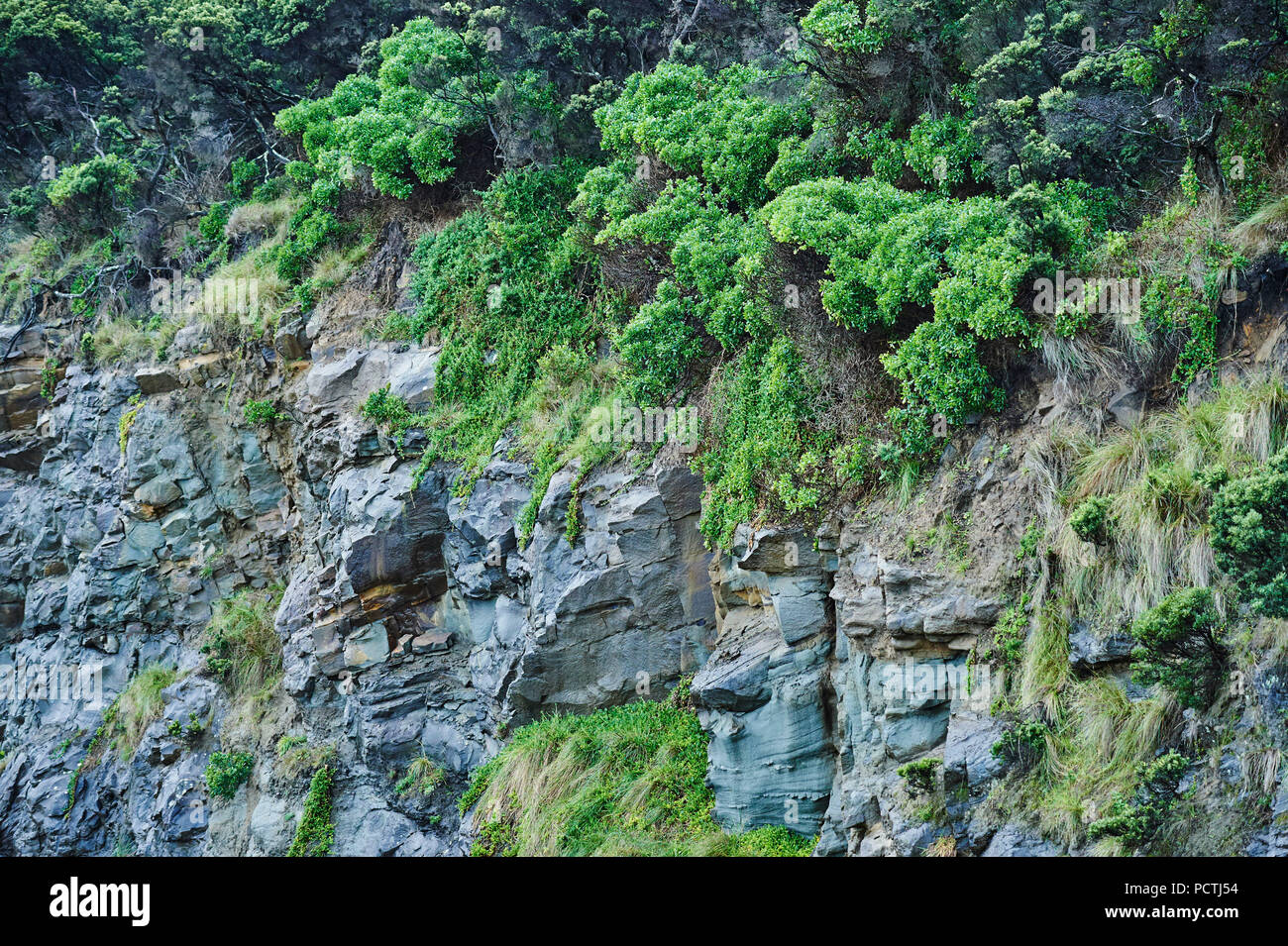 Frãhling in australien -Fotos und -Bildmaterial in hoher Auflösung – Alamy