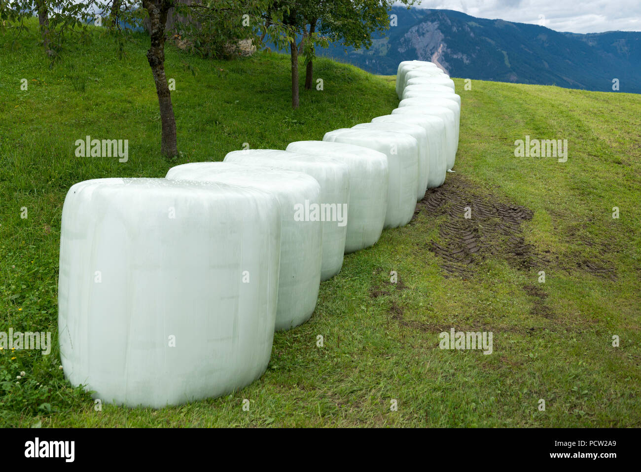 Heu tal -Fotos und -Bildmaterial in hoher Auflösung – Alamy