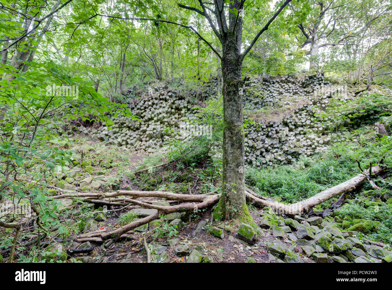 Basaltprismenwand am gangolfsberg -Fotos und -Bildmaterial in hoher ...
