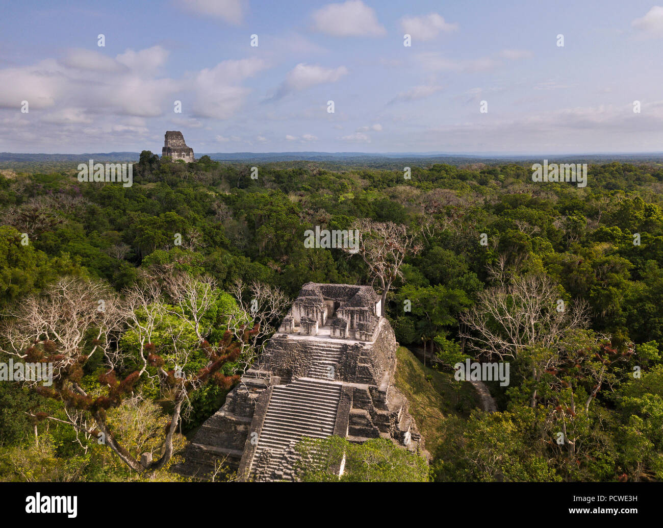 Tikal national park -Fotos und -Bildmaterial in hoher Auflösung – Alamy