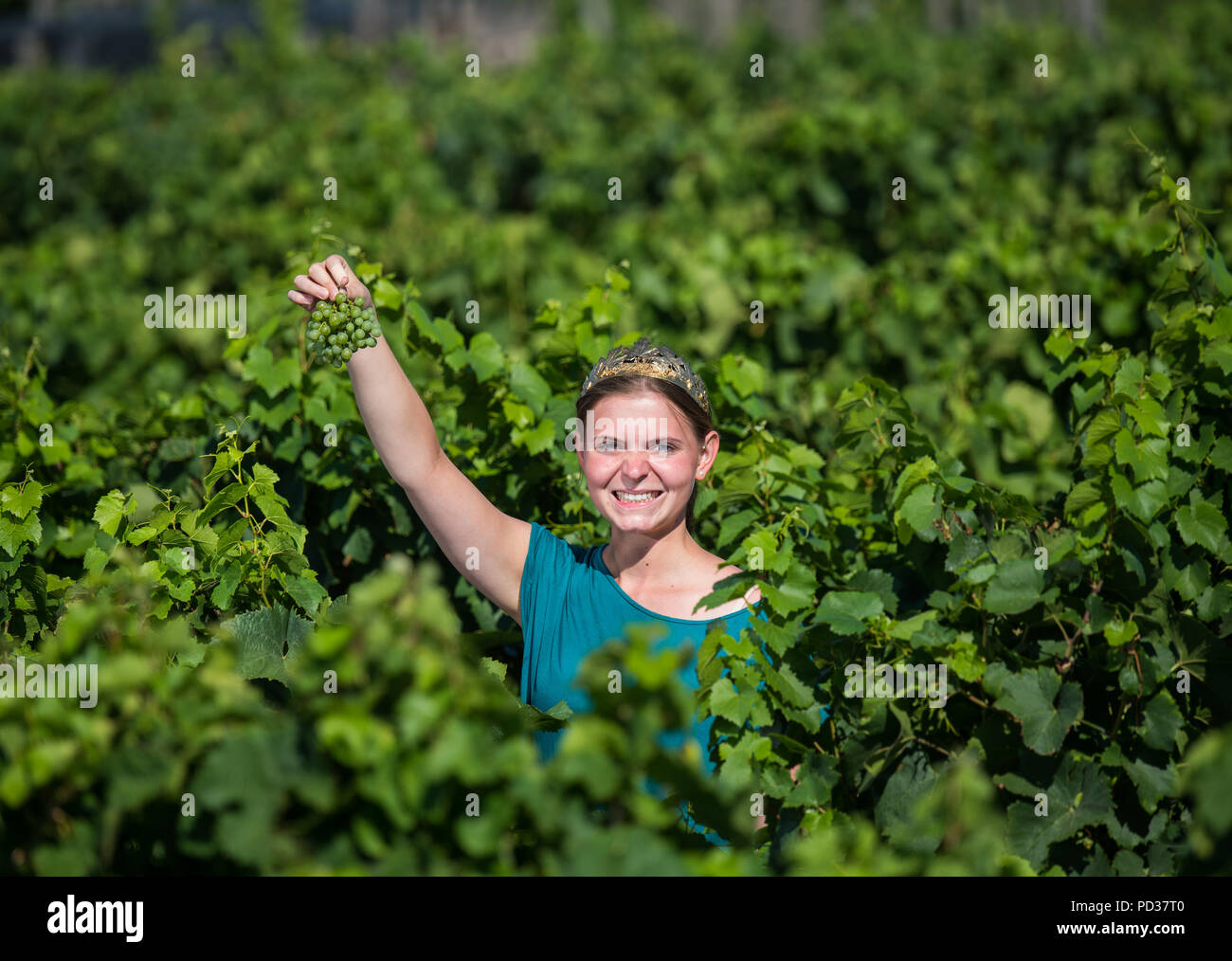 Rheinhessische weinkonigin -Fotos und -Bildmaterial in hoher Auflösung – Alamy