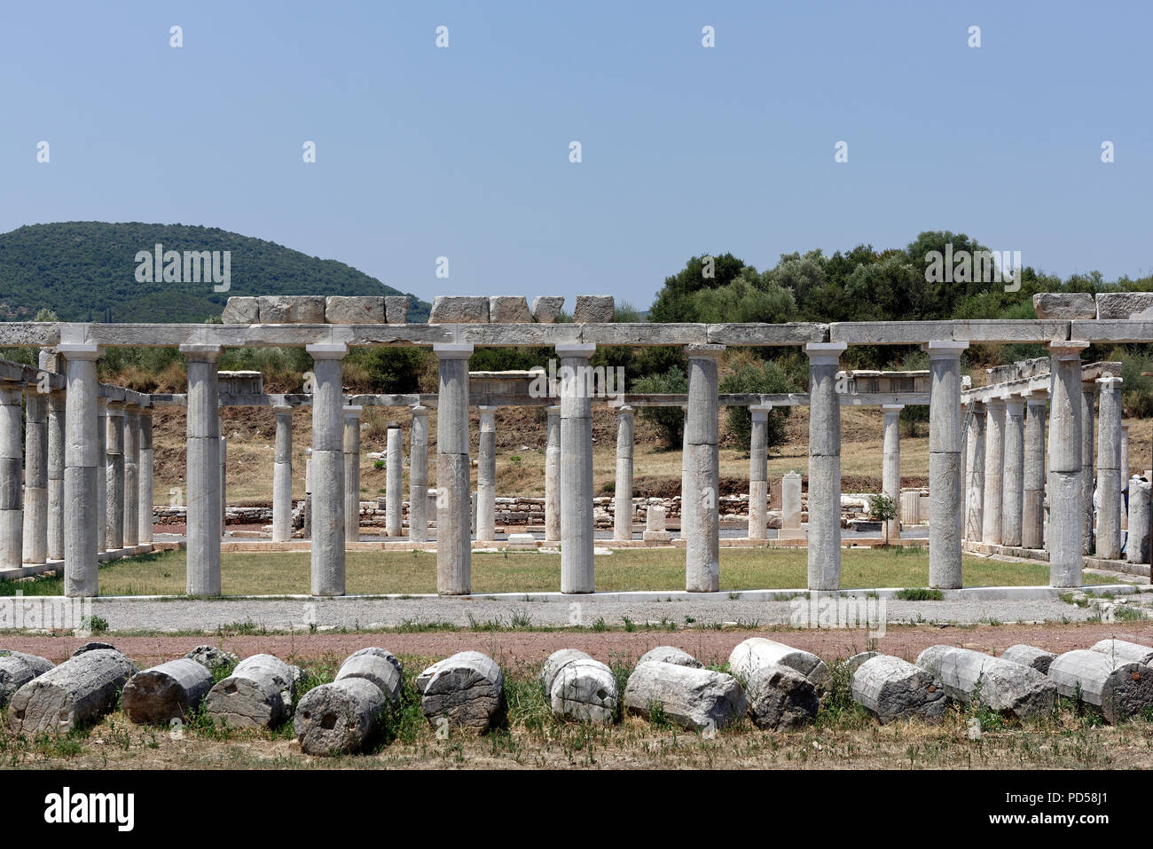 Wrestling kolonnade -Fotos und -Bildmaterial in hoher Auflösung – Alamy