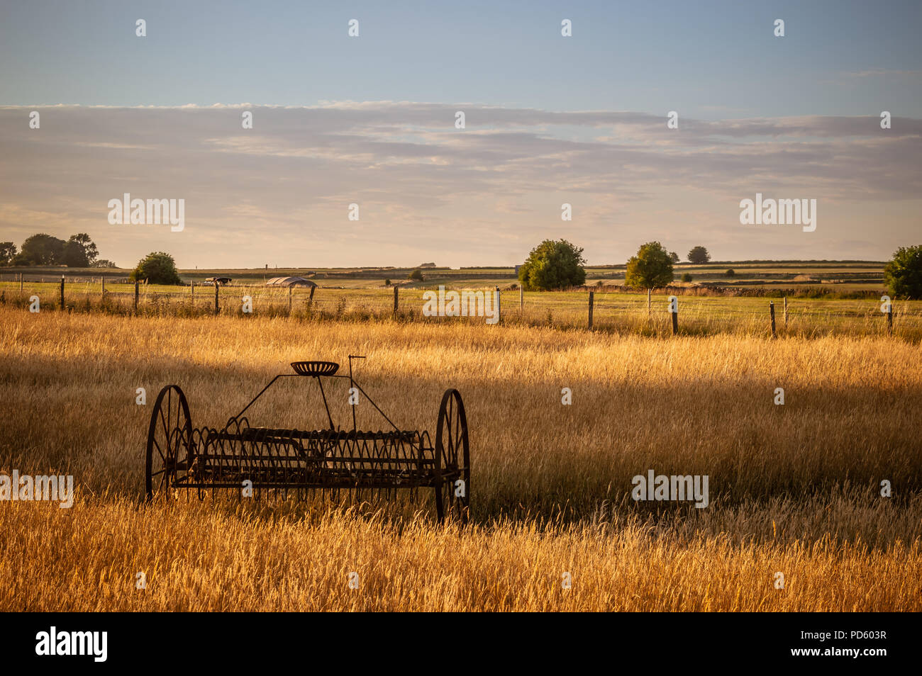 Agricultural rake -Fotos und -Bildmaterial in hoher Auflösung – Alamy