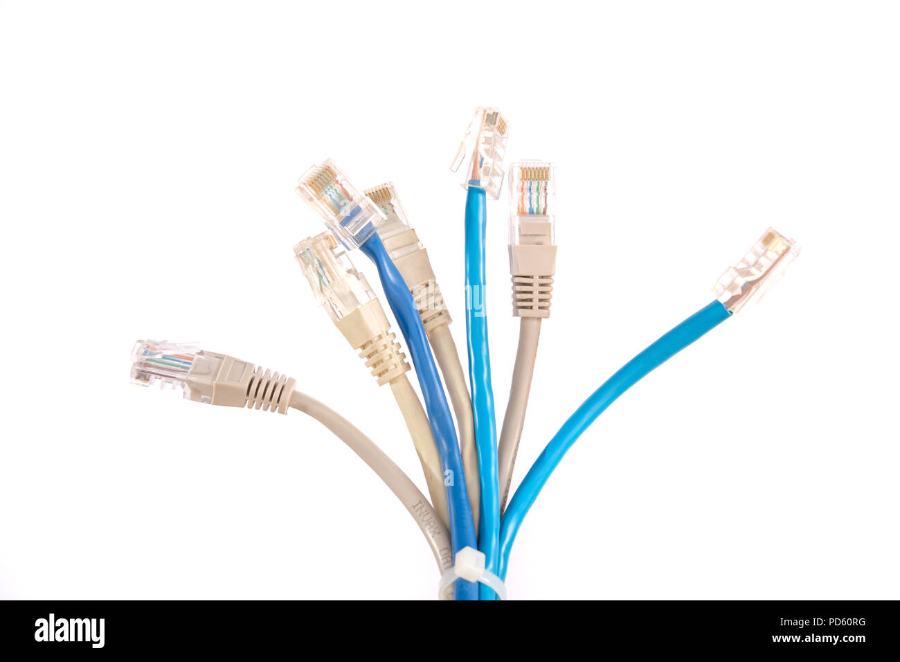 Ein Bündel von local area network Kabel miteinander verbunden und ...