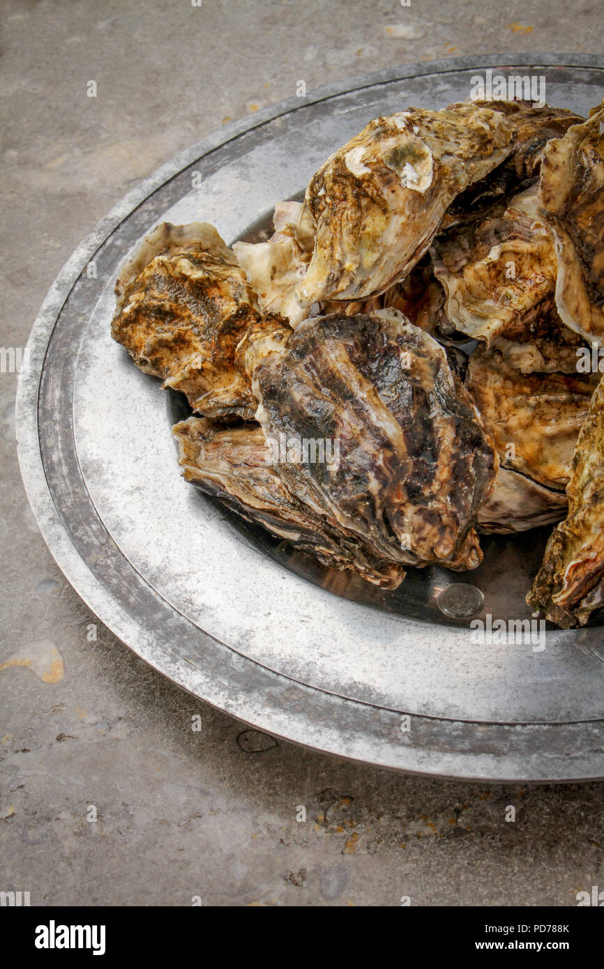 Lebende austern -Fotos und -Bildmaterial in hoher Auflösung – Alamy