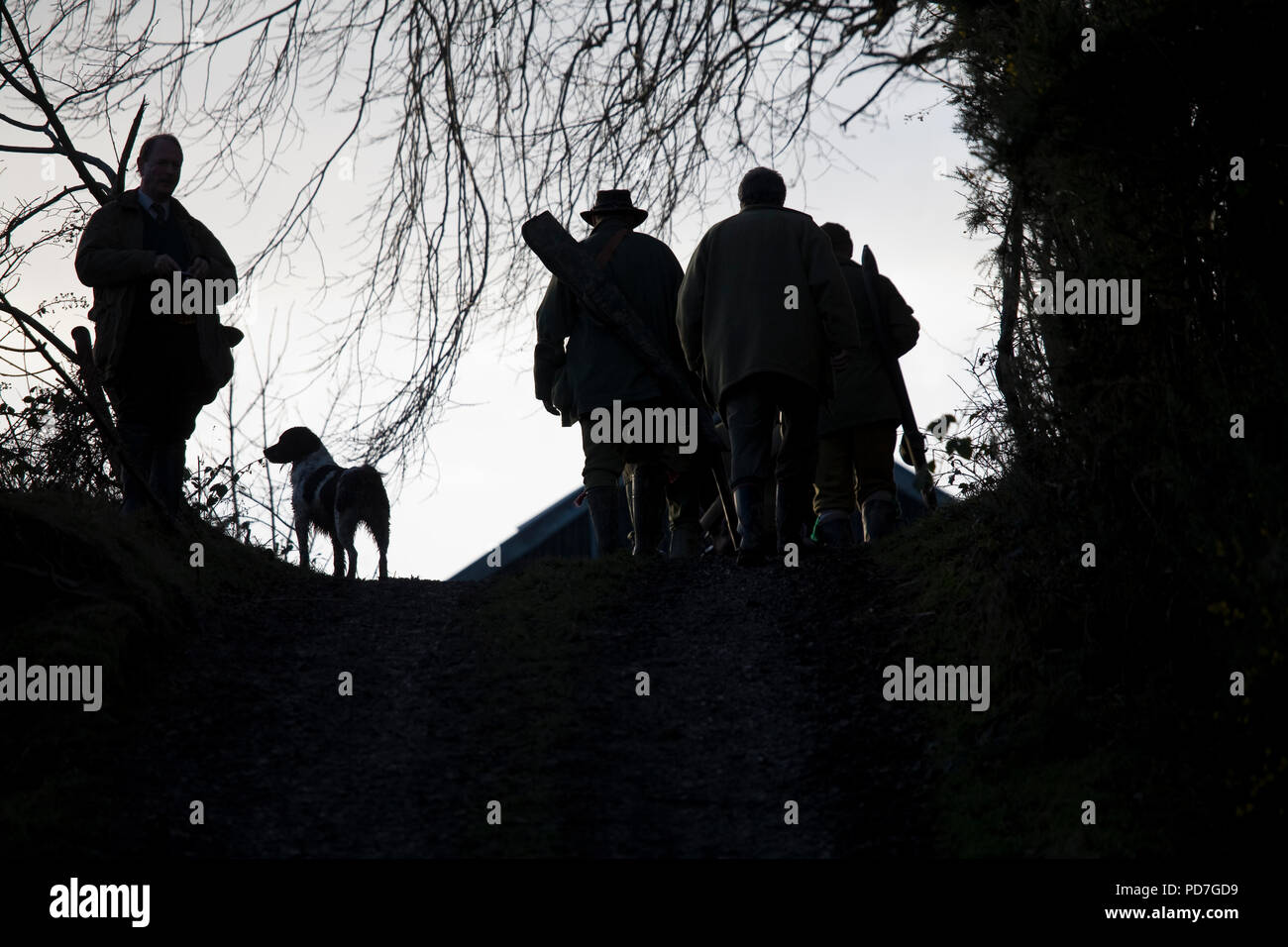 Waffen hund -Fotos und -Bildmaterial in hoher Auflösung – Alamy