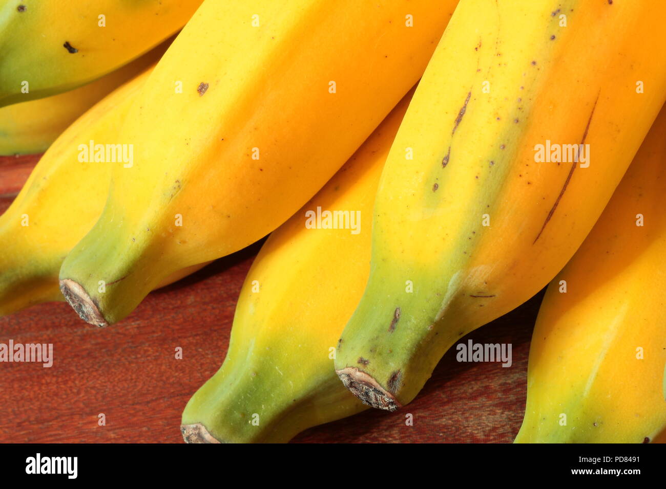 Cavendish Banane Stockfotos und -bilder Kaufen - Alamy