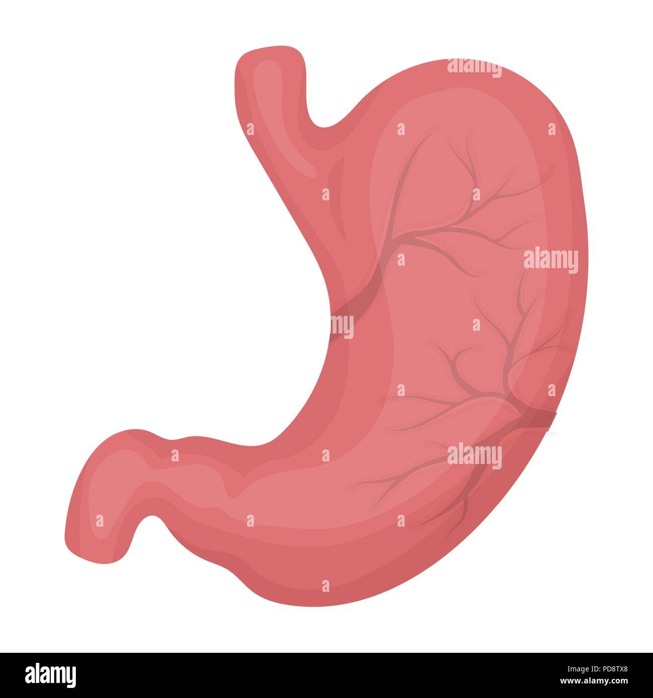 Magen Symbol im Comic-stil auf weißem Hintergrund. Organe symbol Vektor ...