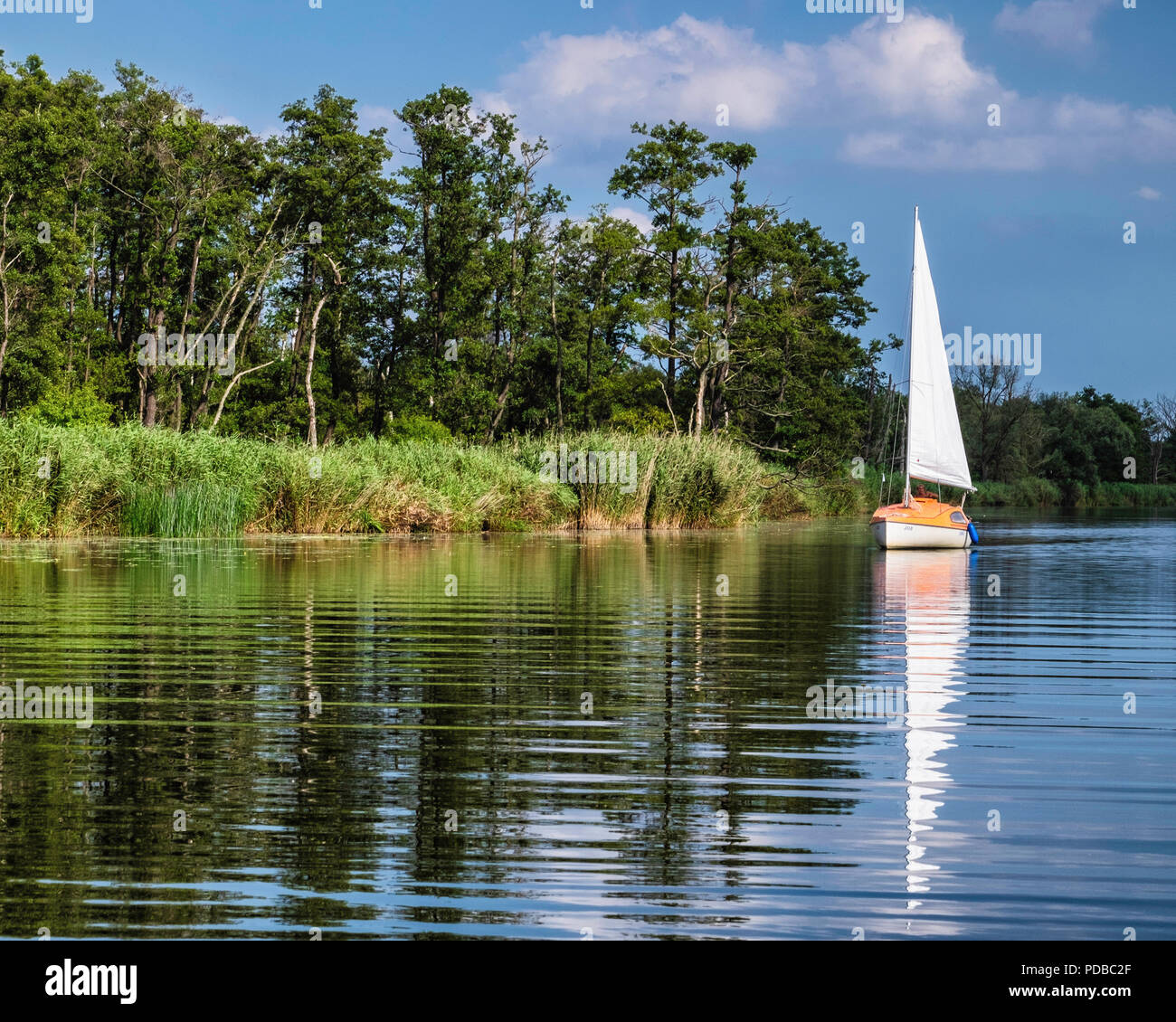 Naturpark peenetal -Fotos und -Bildmaterial in hoher Auflösung – Alamy