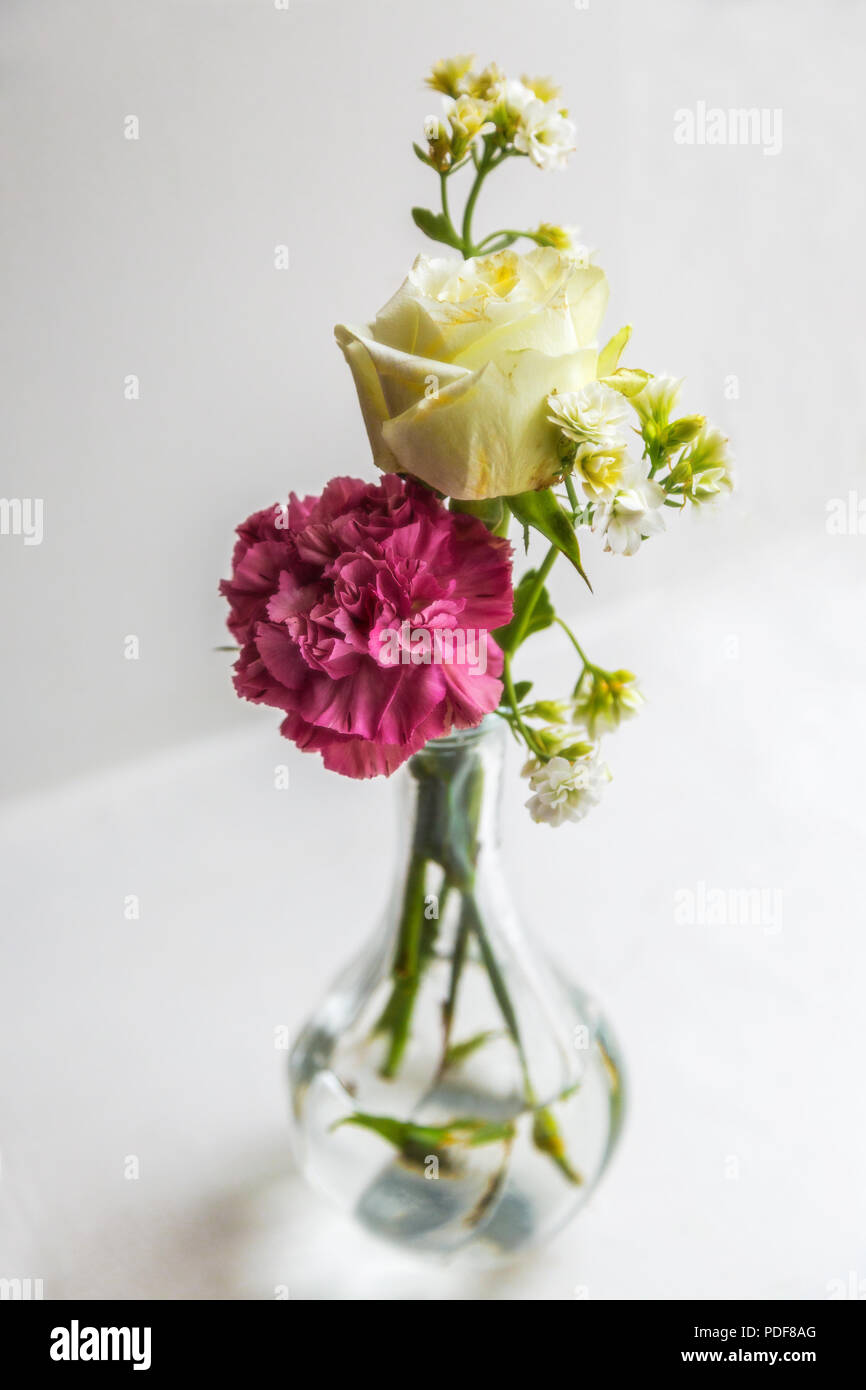 Blumen im Glas Vase Stockfotografie - Alamy