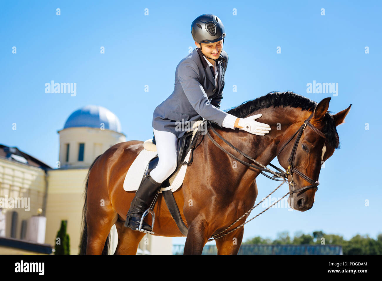 Schöner mann pferd reiten -Fotos und -Bildmaterial in hoher Auflösung ...
