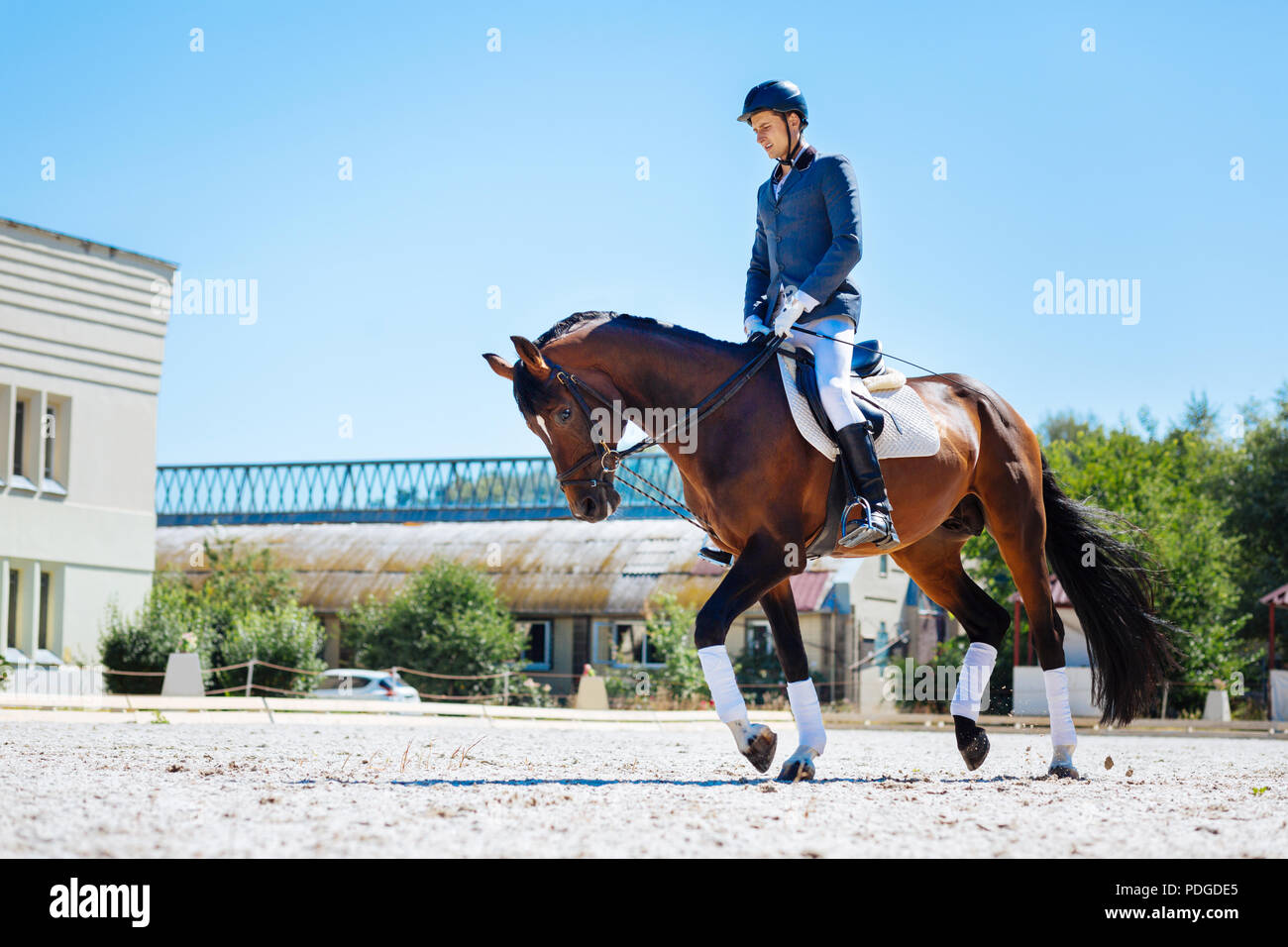 Pferd und mann -Fotos und -Bildmaterial in hoher Auflösung – Alamy