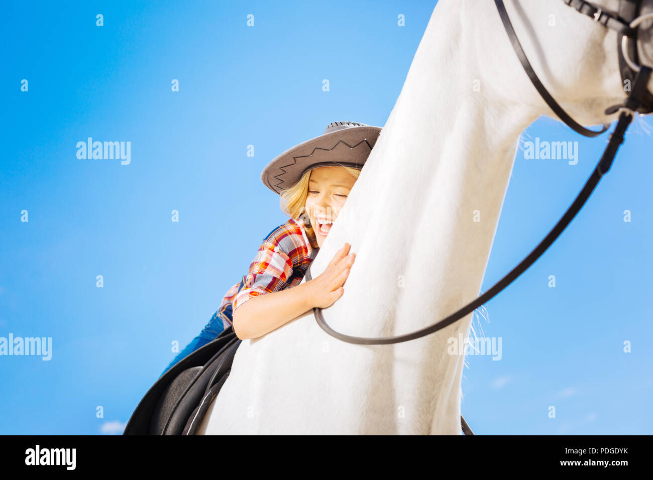Lachendes Pferd Lustig Stockfotos und -bilder Kaufen - Alamy
